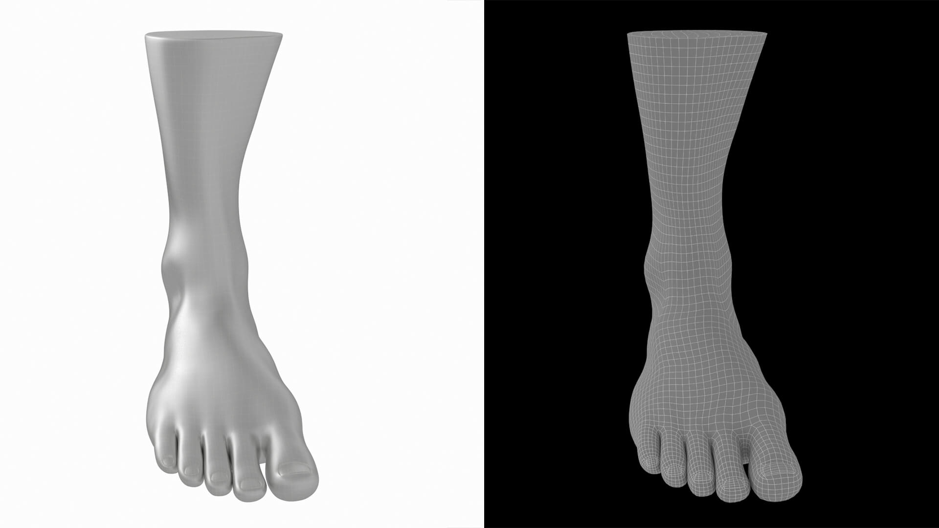Male Realistic Feet Base Mesh - 3D Model by Valerii-Kaliuzhnyi