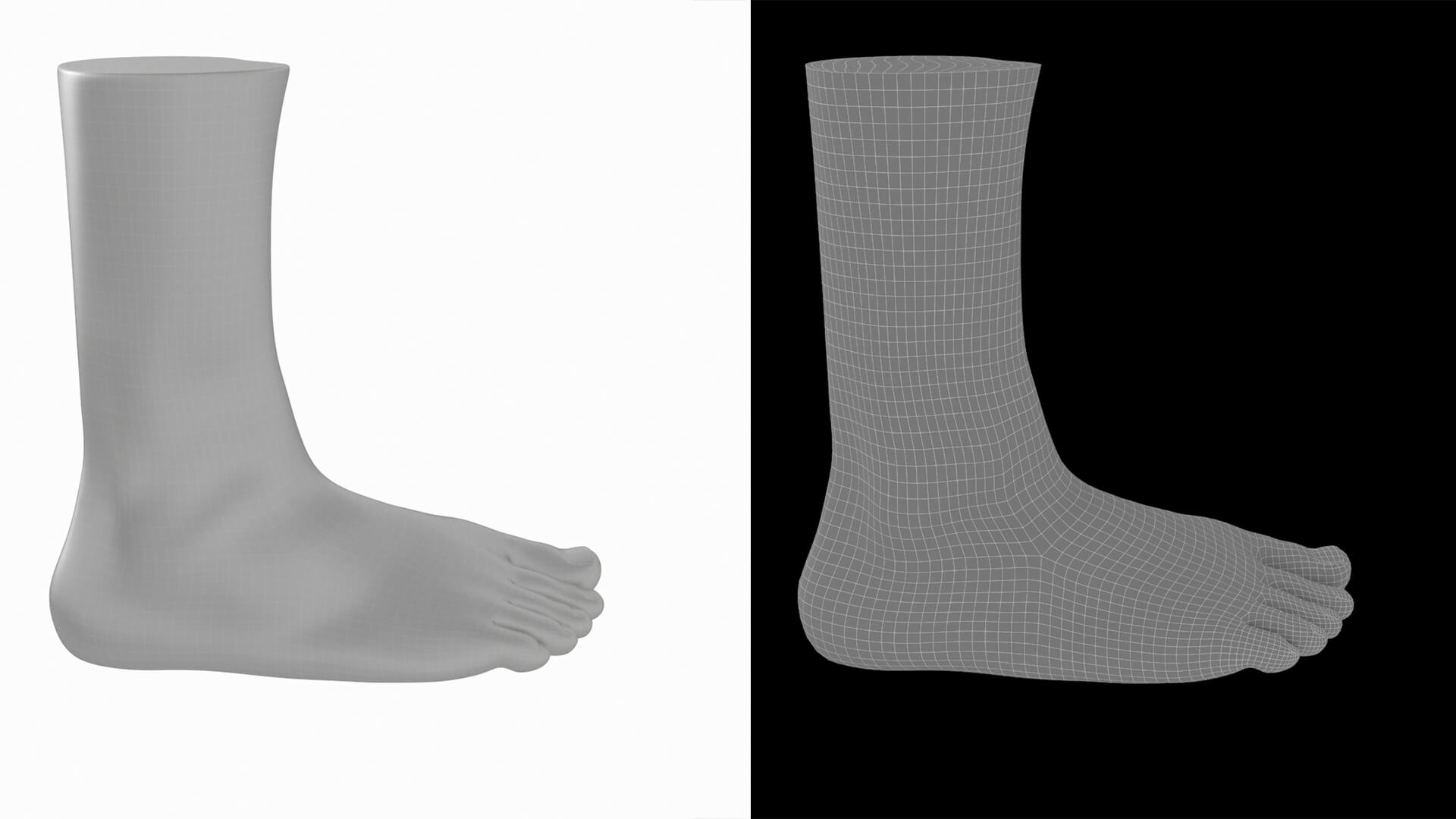 Male Realistic Feet Base Mesh - 3D Model by Valerii-Kaliuzhnyi