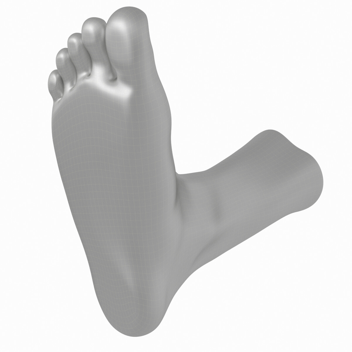 Male Realistic Feet Base Mesh - 3D Model by Valerii-Kaliuzhnyi