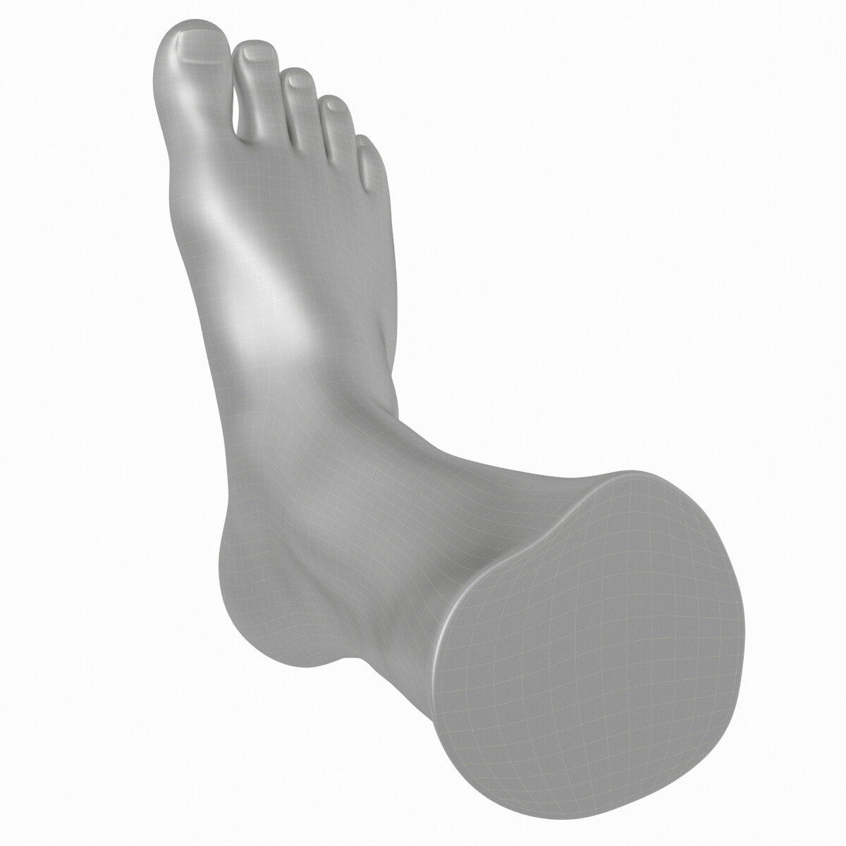 Male Realistic Feet Base Mesh - 3D Model by Valerii-Kaliuzhnyi