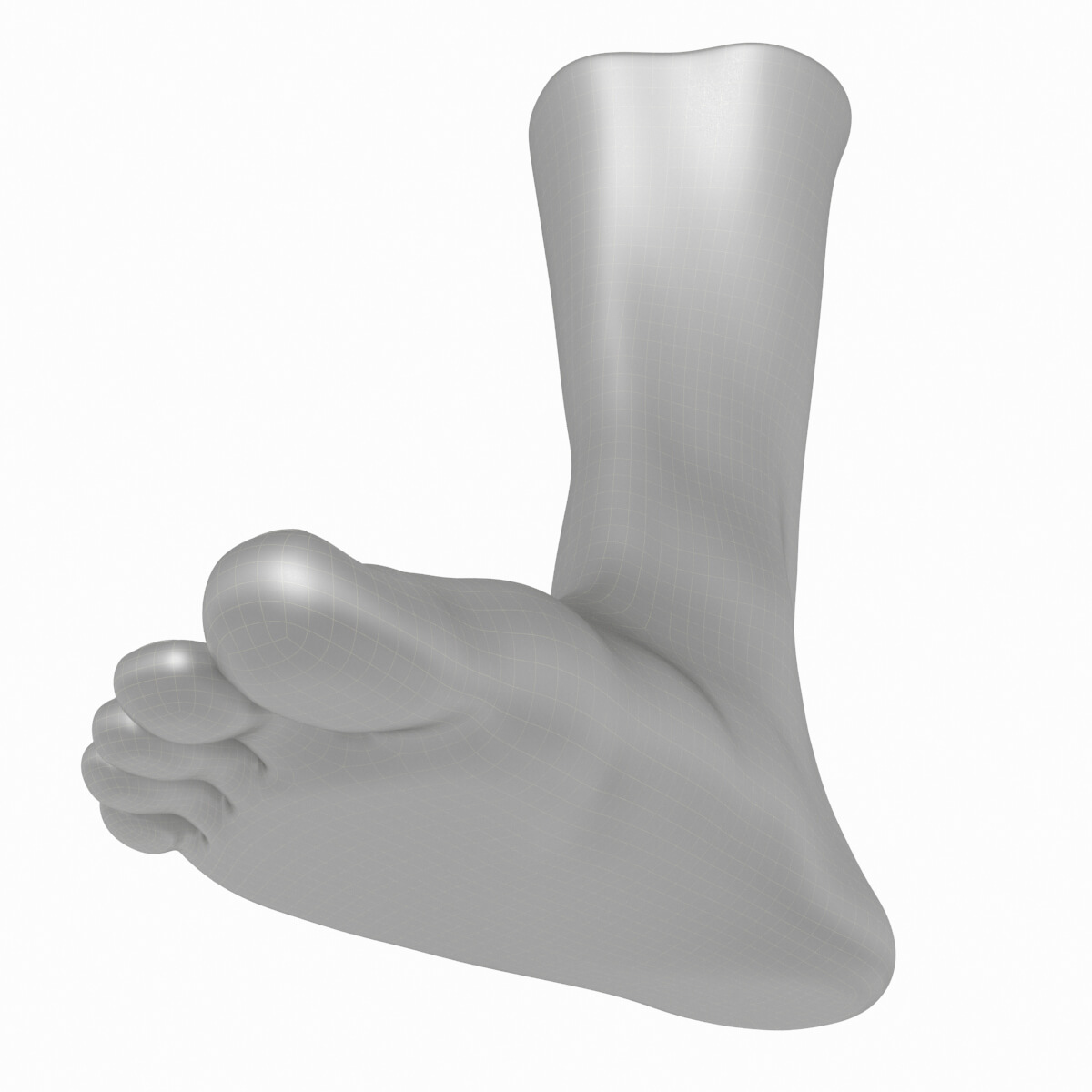 Male Realistic Feet Base Mesh - 3D Model by Valerii-Kaliuzhnyi