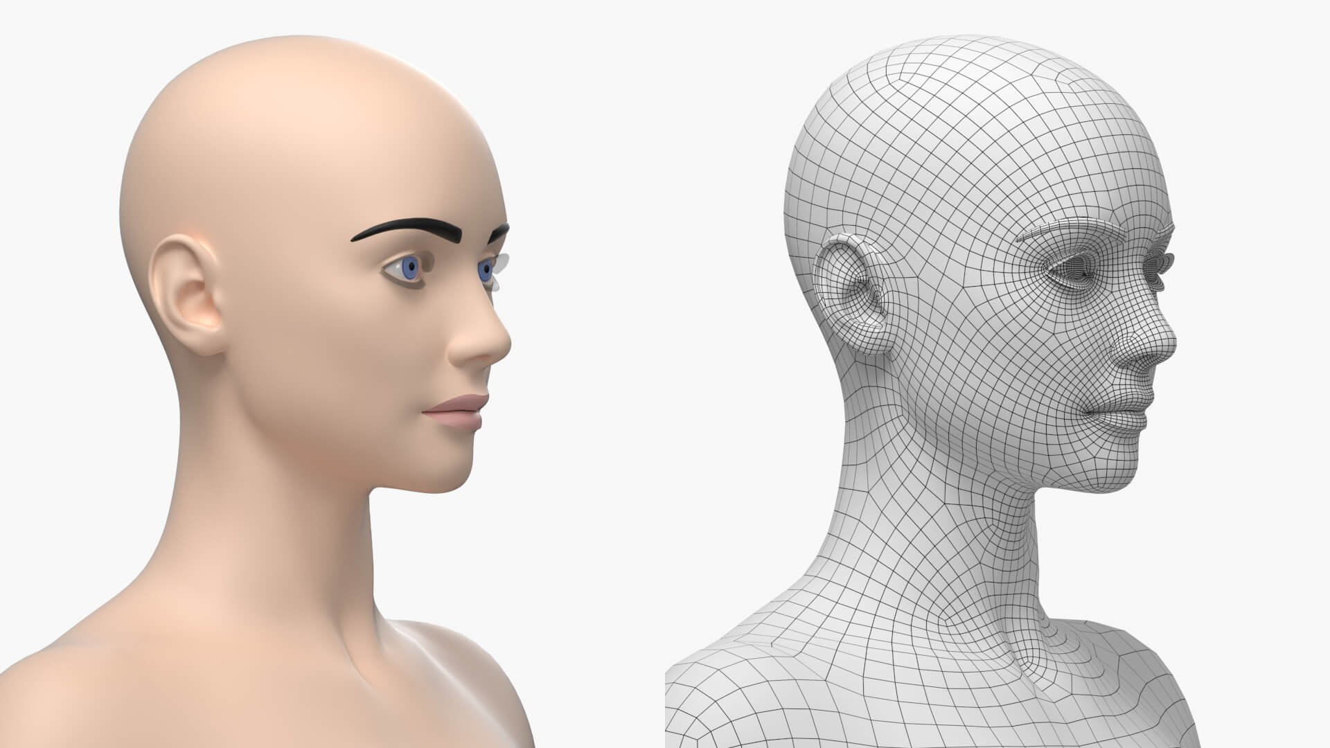 Natural Female 01 A-Pose Base Mesh 3D Model by Valerii-Kaliuzhnyi