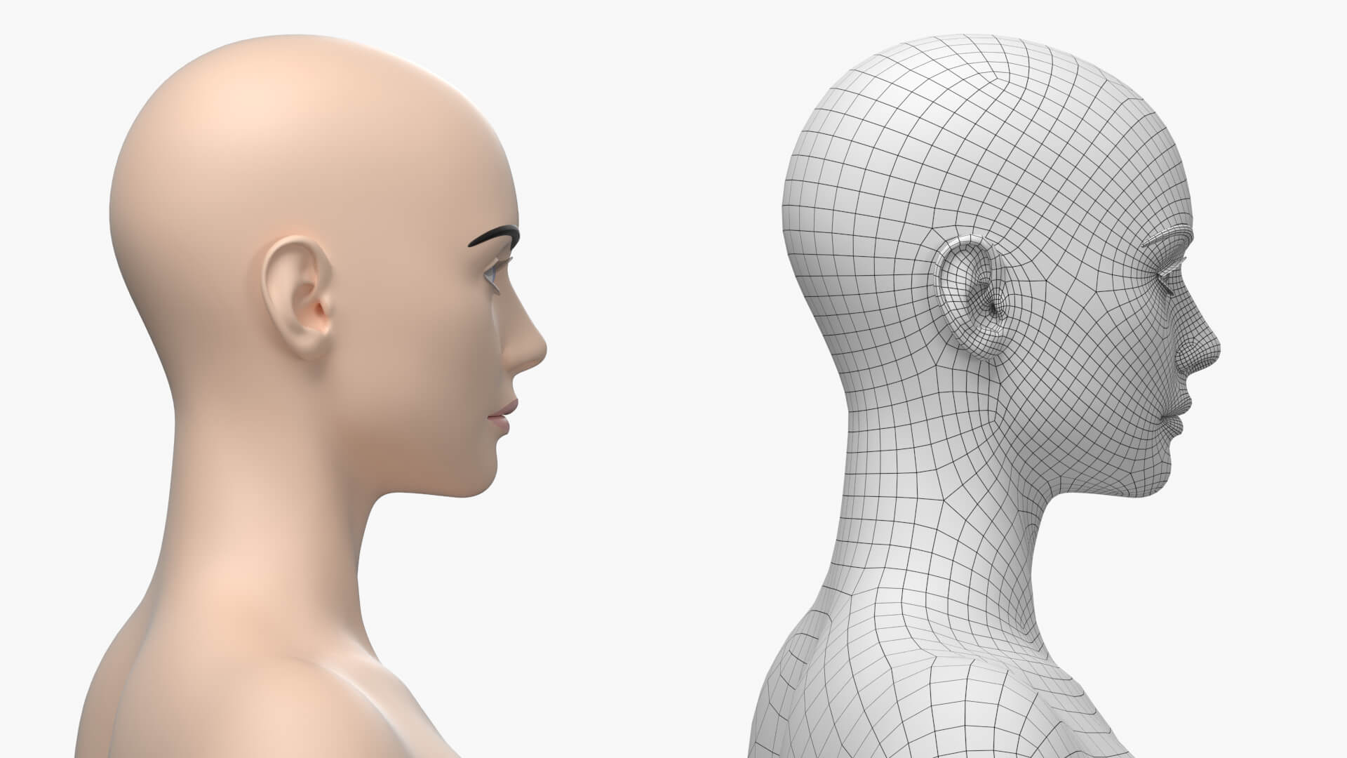 Natural Female 01 A-Pose Base Mesh 3D Model by Valerii-Kaliuzhnyi