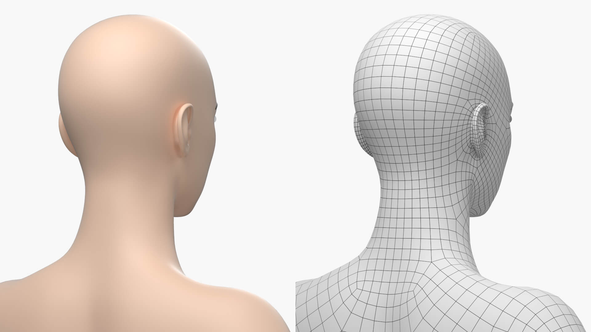 Natural Female 01 A-Pose Base Mesh 3D Model by Valerii-Kaliuzhnyi