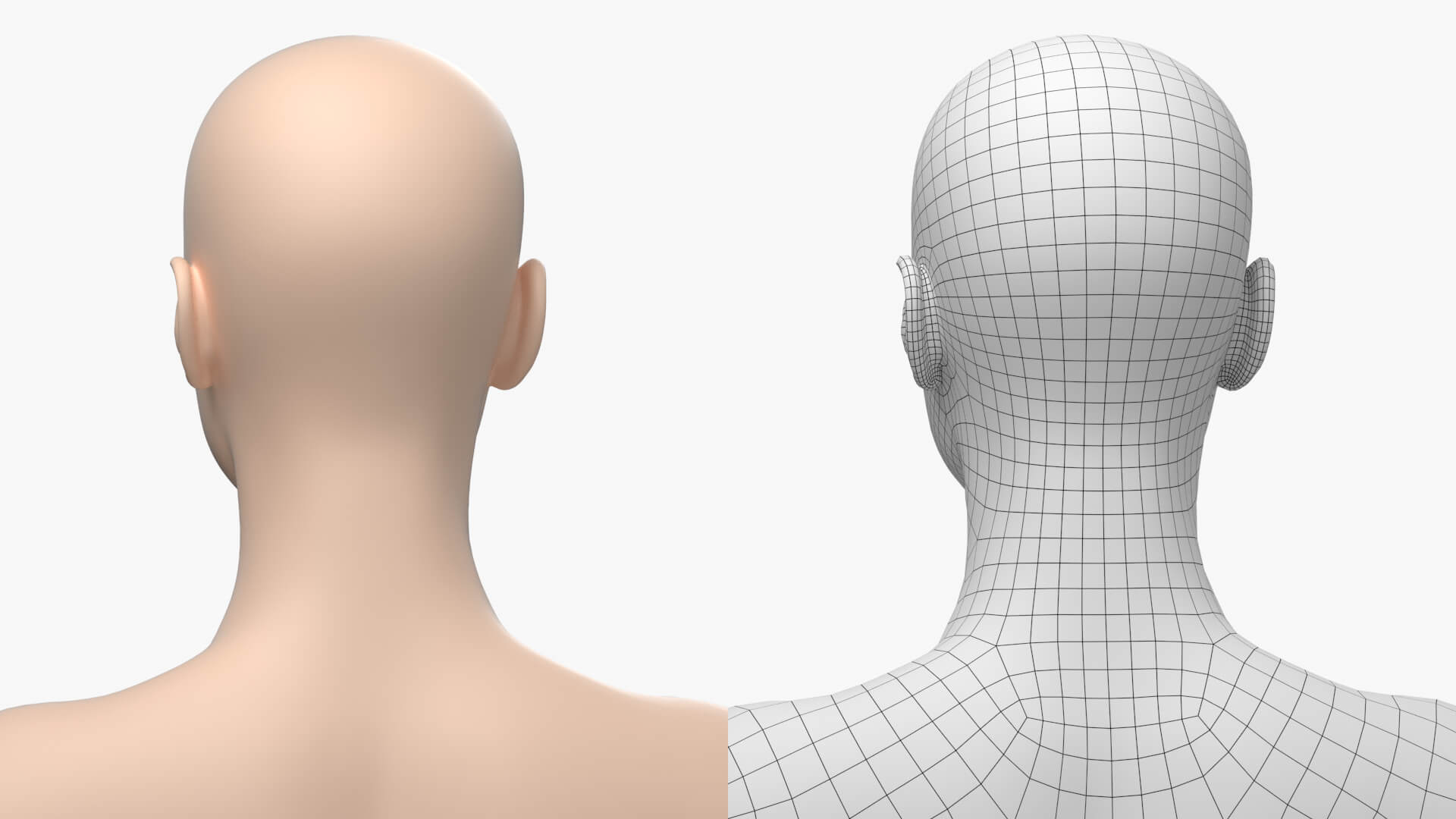 Natural Female 01 A-Pose Base Mesh 3D Model by Valerii-Kaliuzhnyi