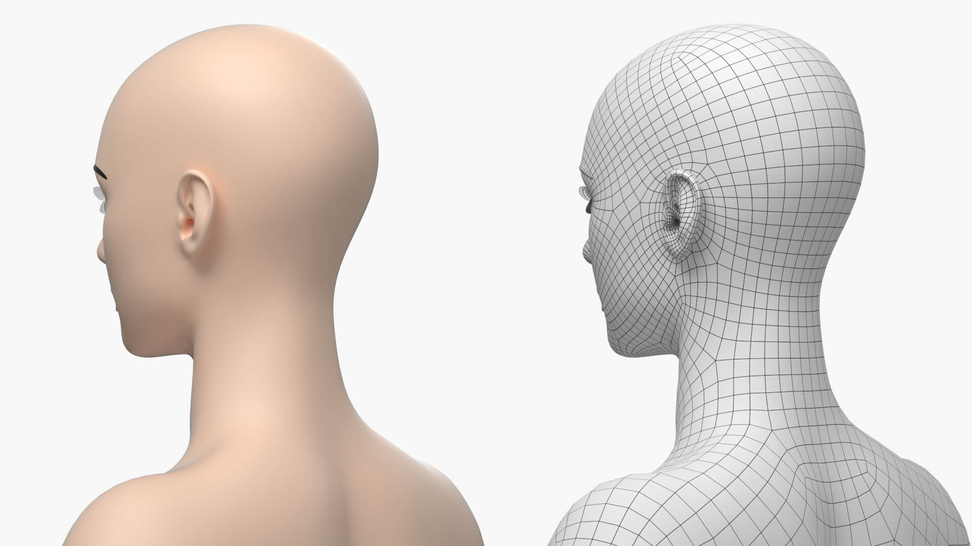 Natural Female 01 A-Pose Base Mesh 3D Model by Valerii-Kaliuzhnyi