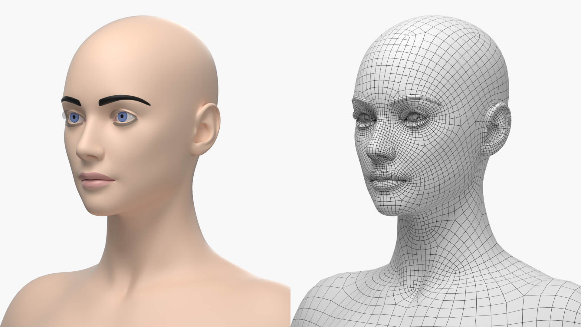 Natural Female 01 A-Pose Base Mesh 3D Model by Valerii-Kaliuzhnyi