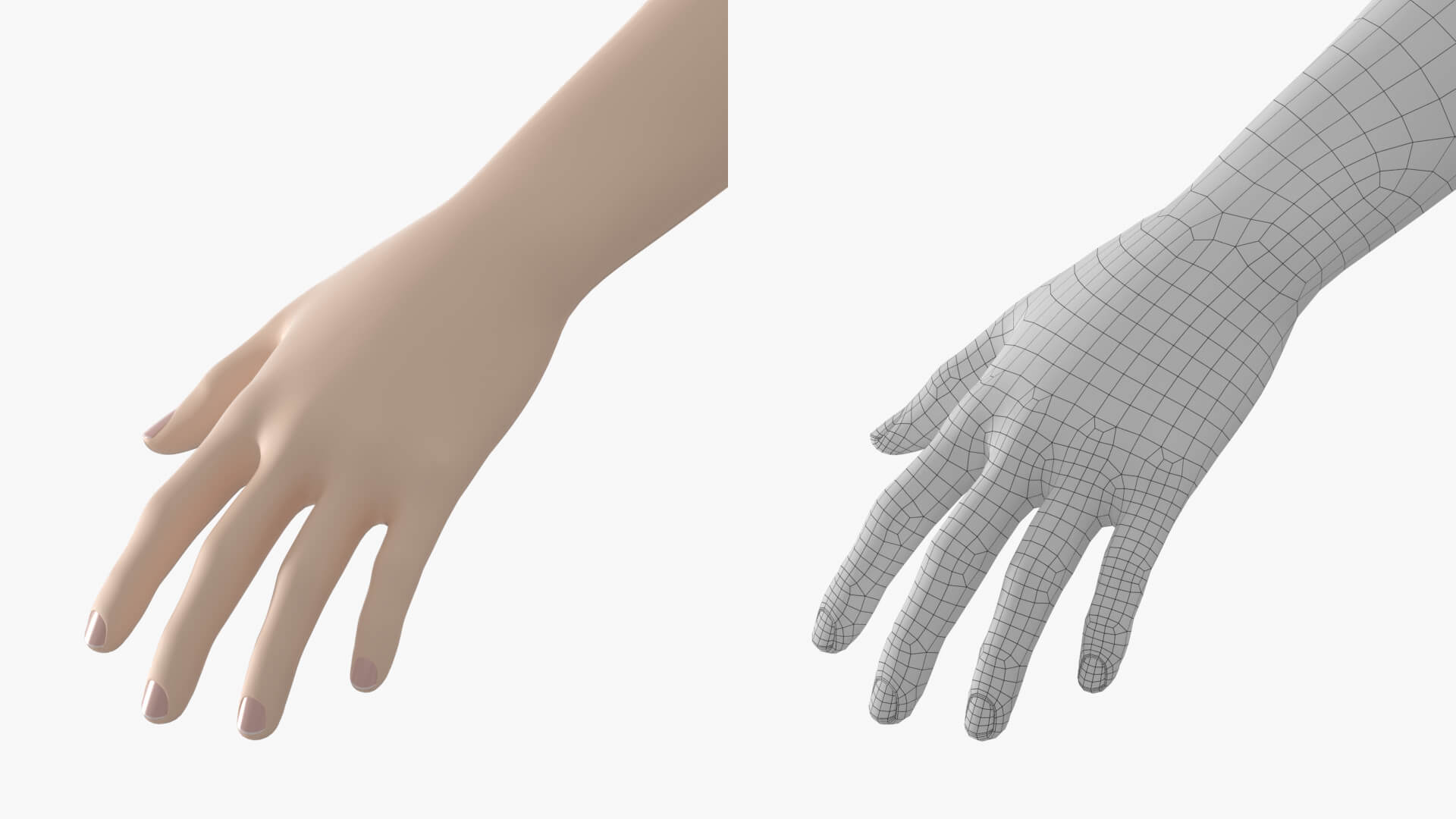 Natural Female 01 A-Pose Base Mesh 3D Model by Valerii-Kaliuzhnyi