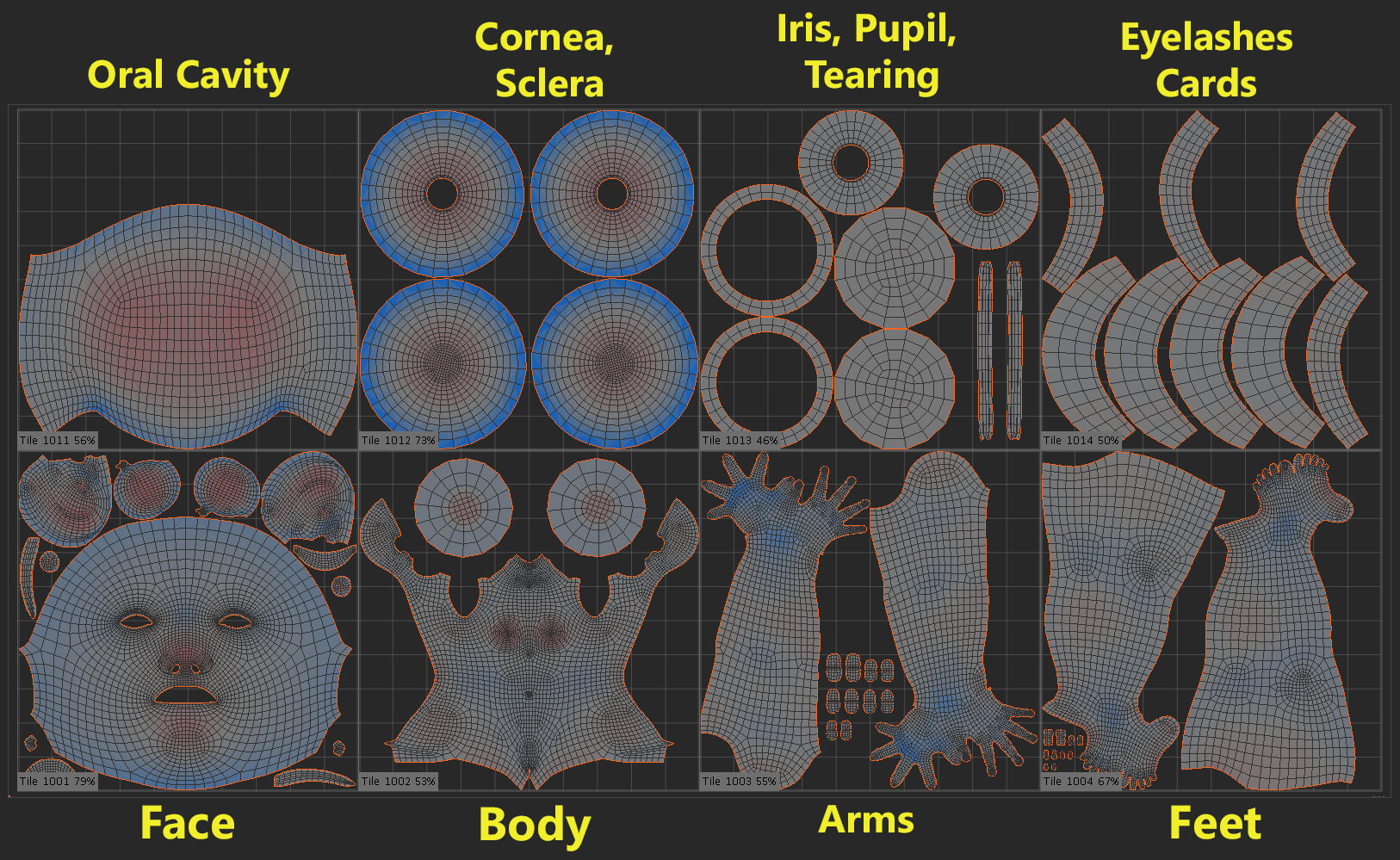 Natural Female 01 A-Pose Base Mesh 3D Model by Valerii-Kaliuzhnyi