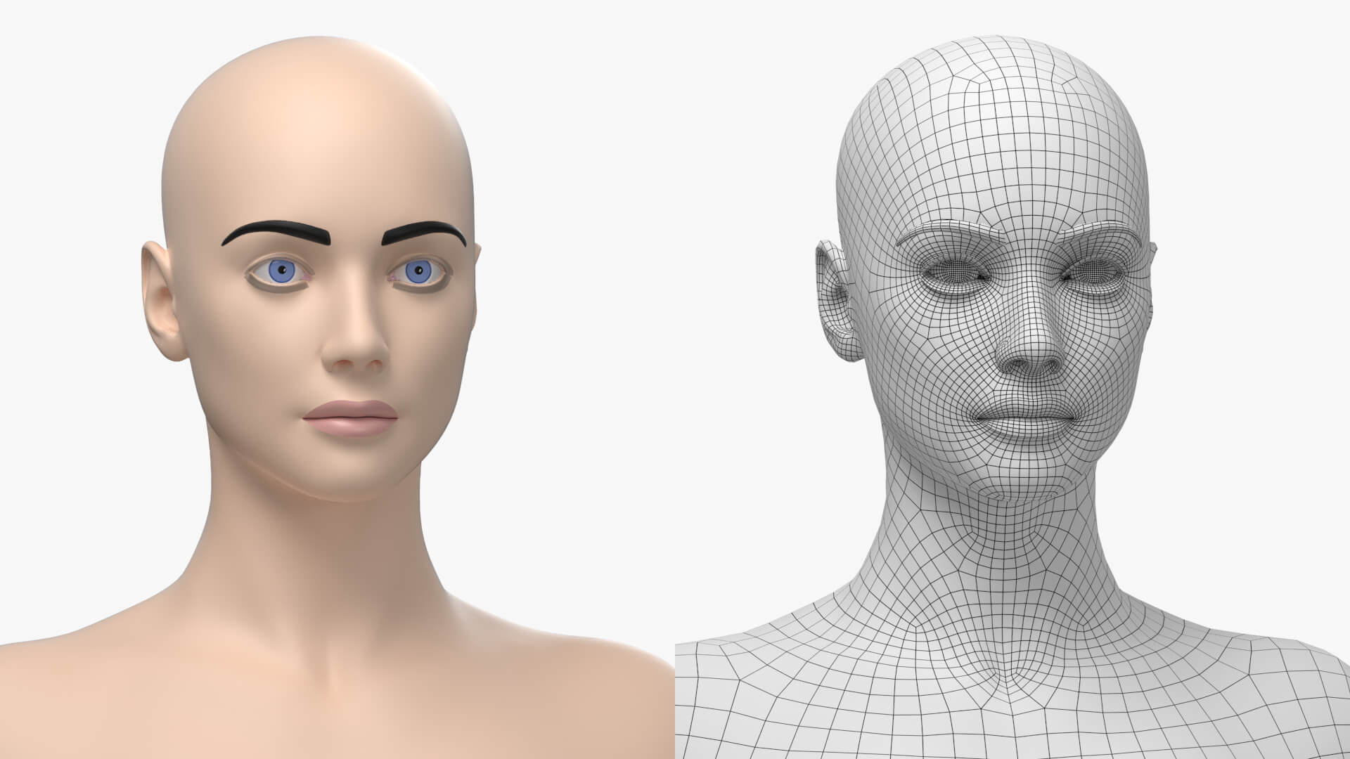 Natural Female 01 T-Pose Base Mesh 3D Model by Valerii-Kaliuzhnyi