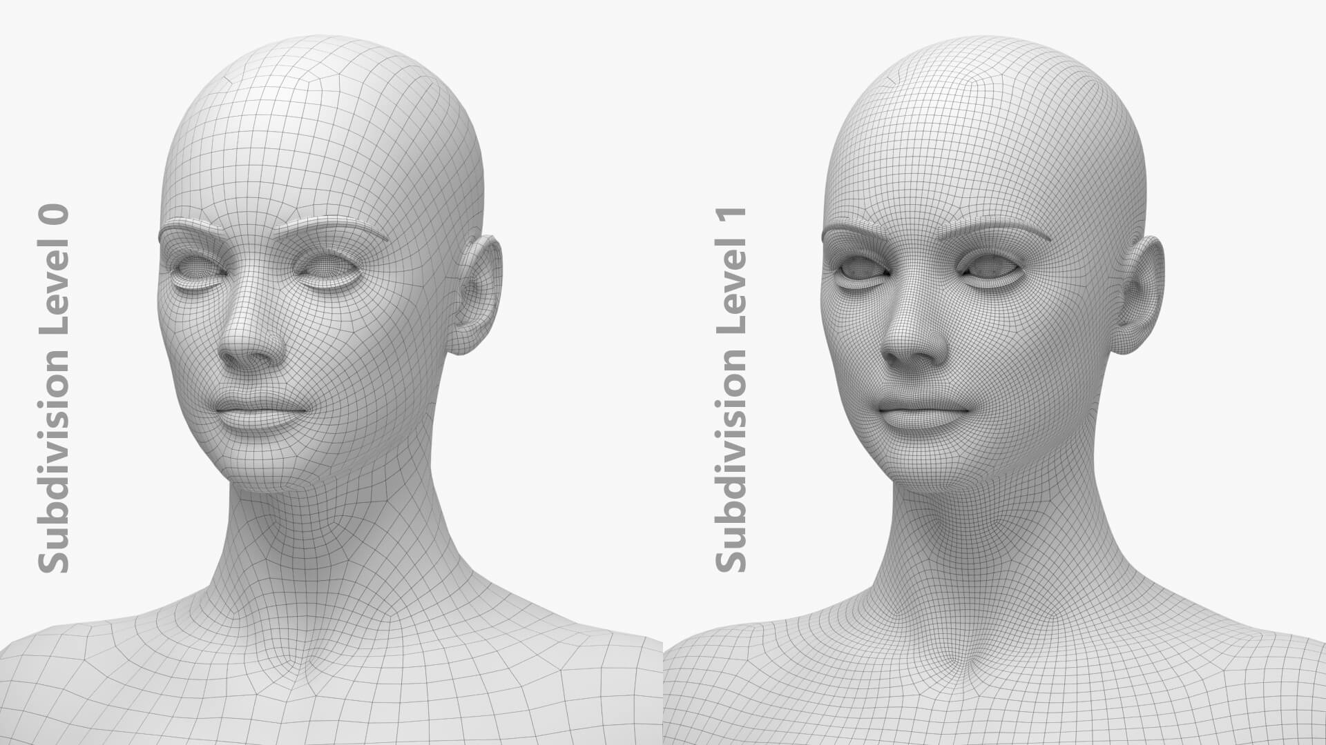 Natural Female 01 T-Pose Base Mesh 3D Model by Valerii-Kaliuzhnyi