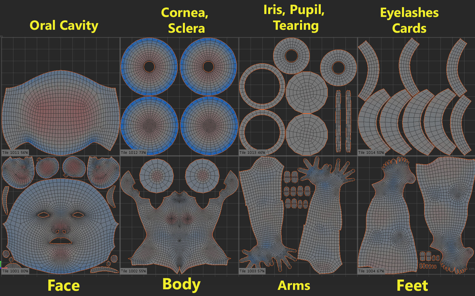 Natural Female 01 T-Pose Base Mesh 3D Model by Valerii-Kaliuzhnyi