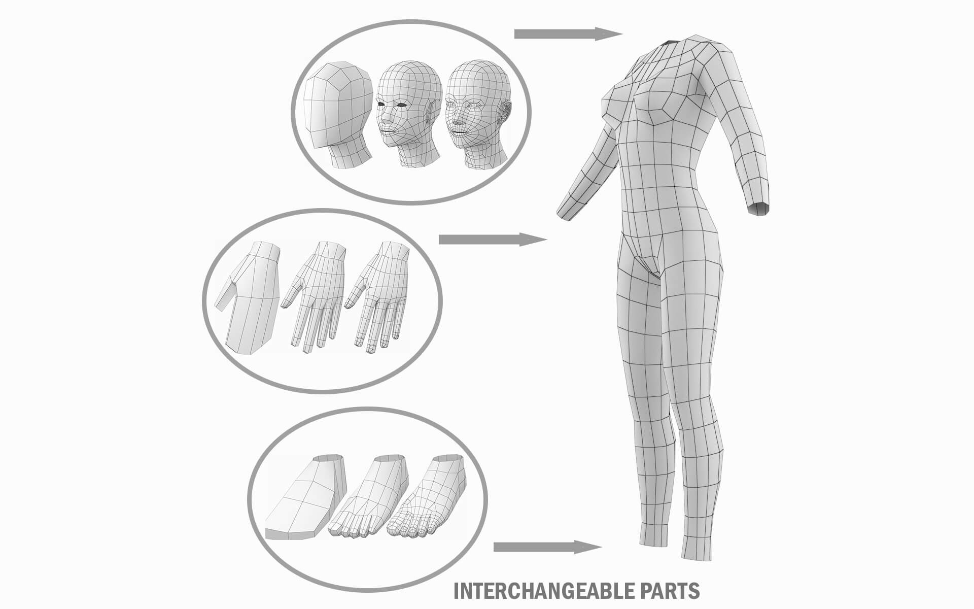 Natural Female and Male Base Mesh in A-Pose Bundle 3D Model by Valerii ...