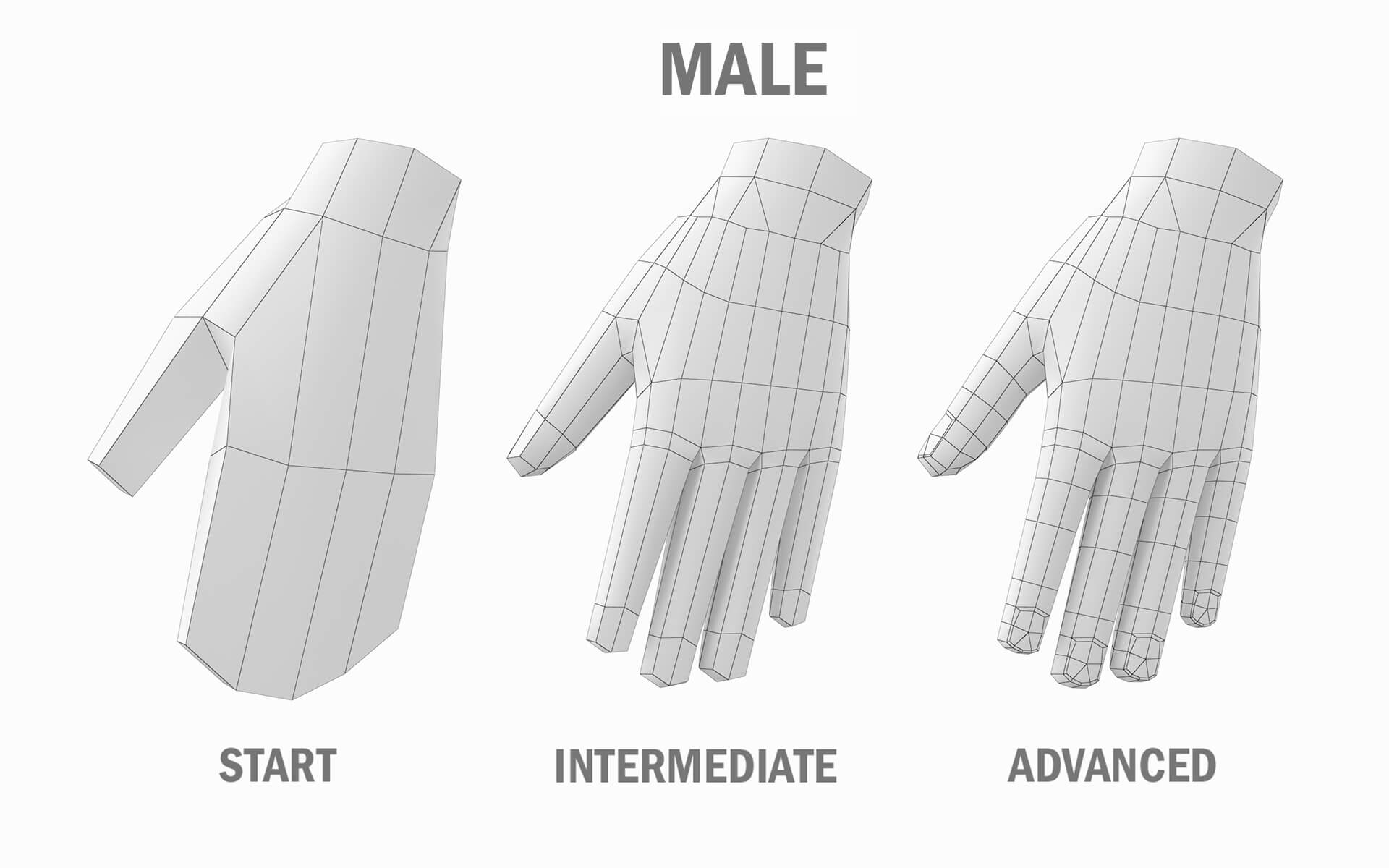 Natural Female and Male Base Mesh Super Bundle - 3D Model by Valerii ...