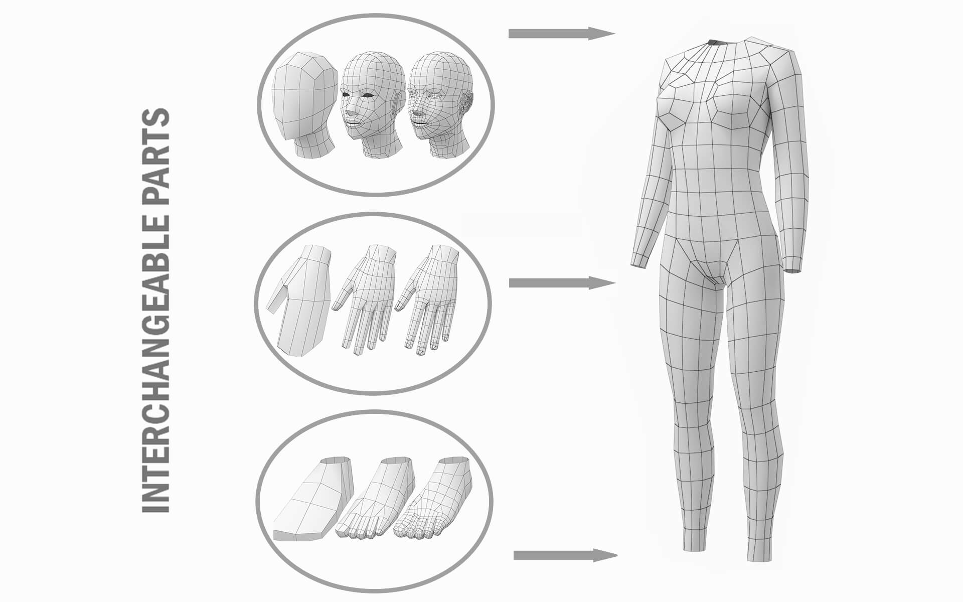 Natural Female and Male Base Mesh Super Bundle - 3D Model by Valerii ...