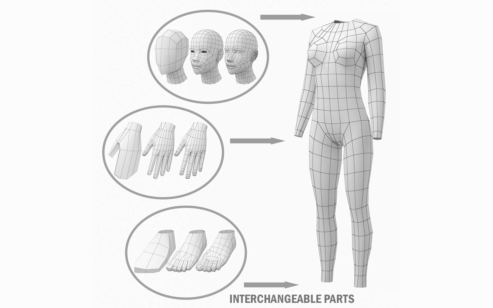 Natural Female and Male in Rest Pose Base Mesh Bundle - 3D Model by ...