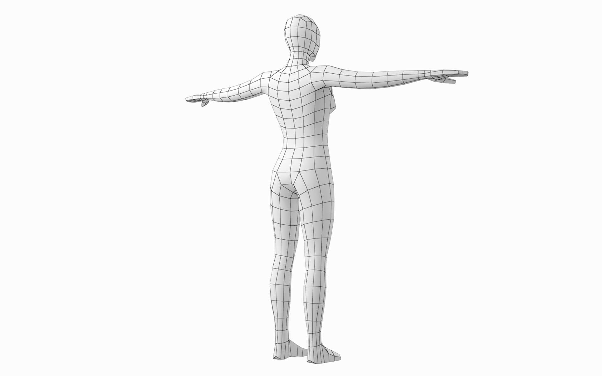 Natural Female and Male in T-Pose Base Mesh Bundle 3D Model by Valerii ...