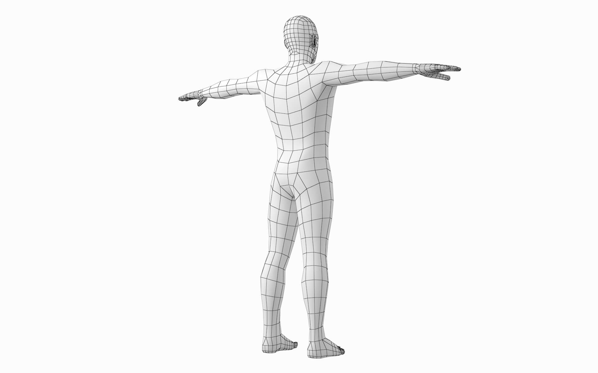 Natural Female and Male in T-Pose Base Mesh Bundle 3D Model by Valerii ...