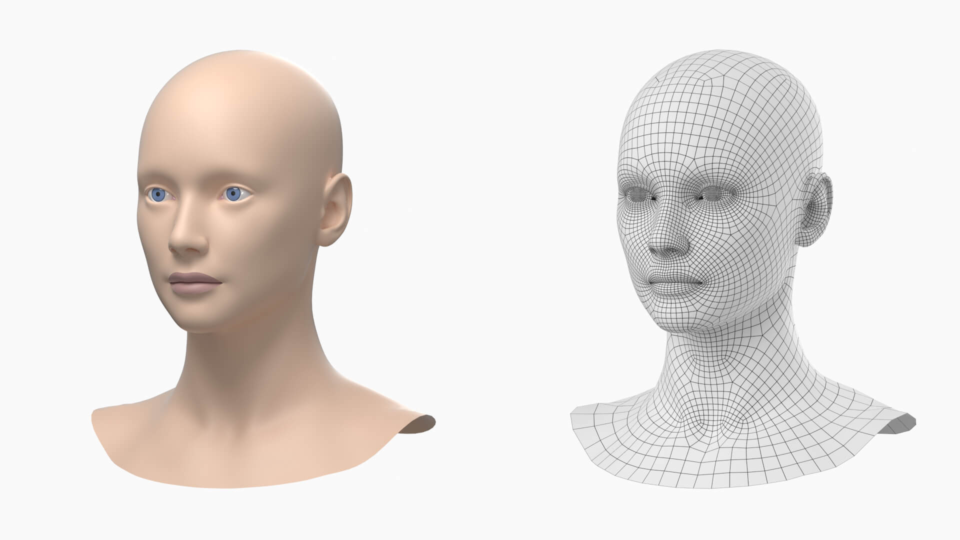 Natural Female Head 01 Base Mesh - 3D Model by Valerii-Kaliuzhnyi