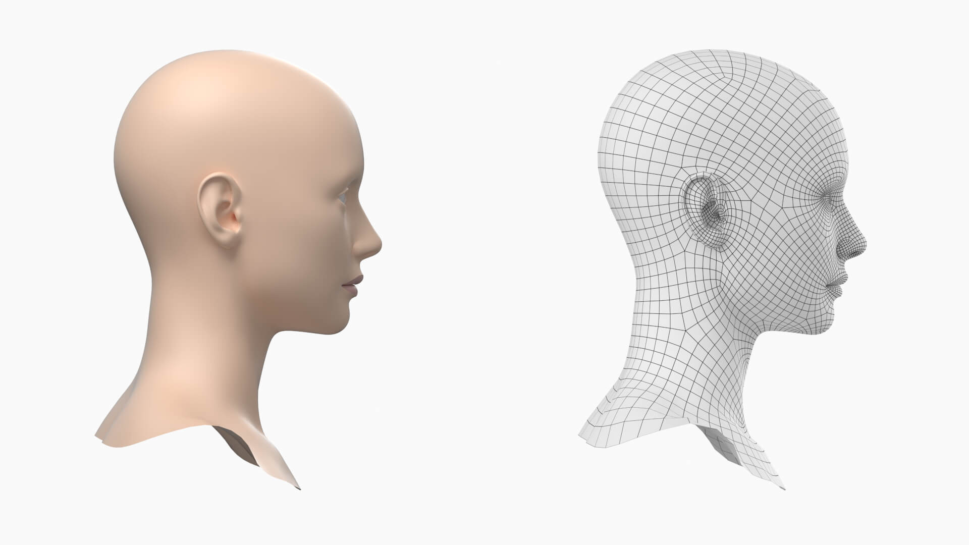 Natural Female Head 01 Base Mesh - 3D Model by Valerii-Kaliuzhnyi