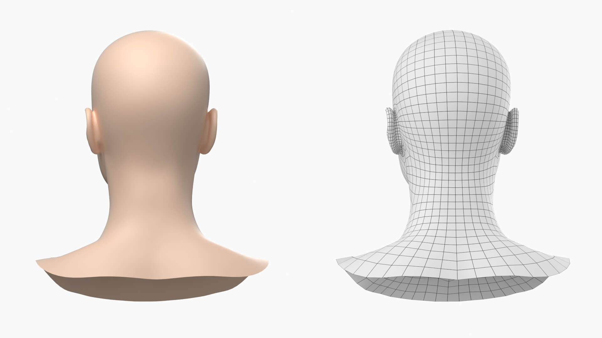 Natural Female Head 01 Base Mesh - 3D Model by Valerii-Kaliuzhnyi