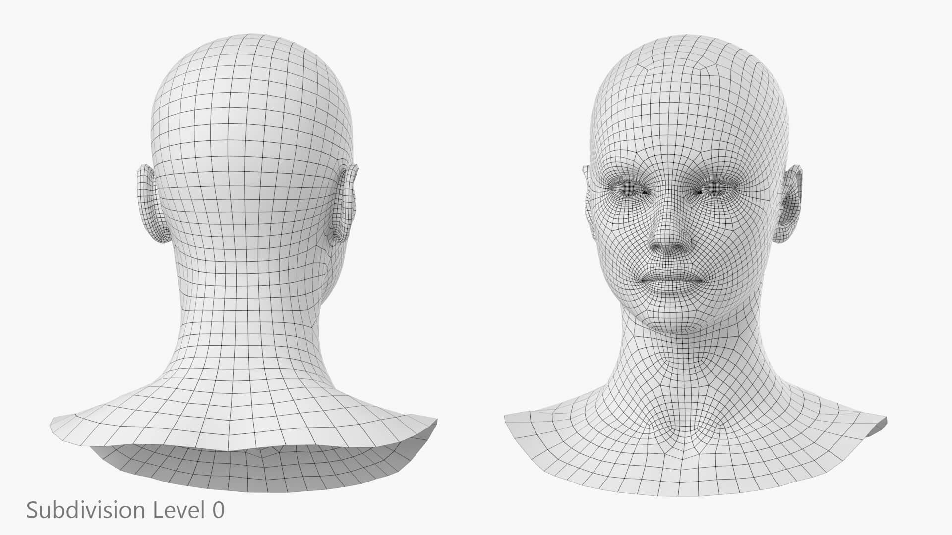 Natural Female Head 01 Base Mesh - 3D Model by Valerii-Kaliuzhnyi
