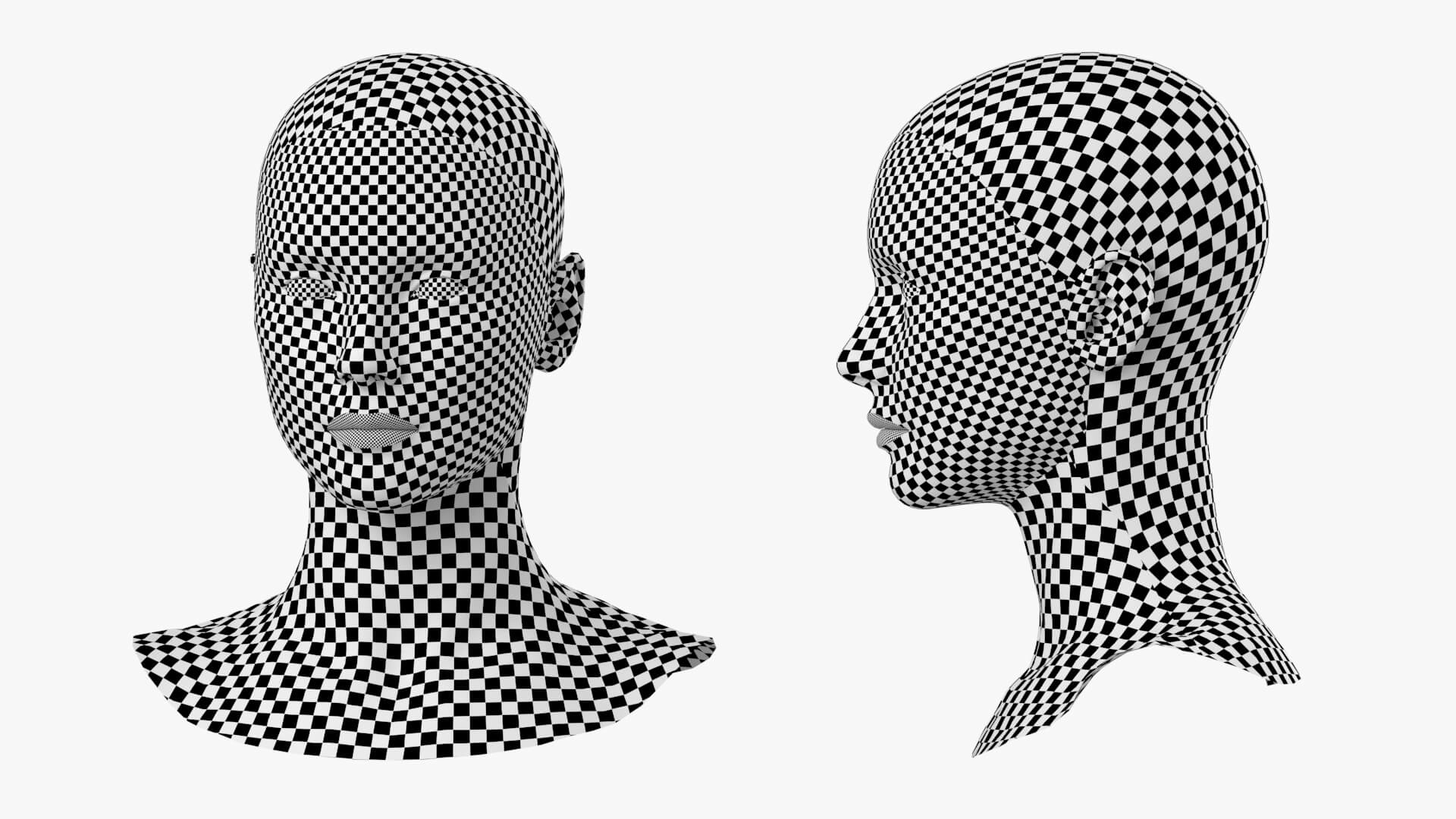Natural Female Head 01 Base Mesh - 3D Model by Valerii-Kaliuzhnyi