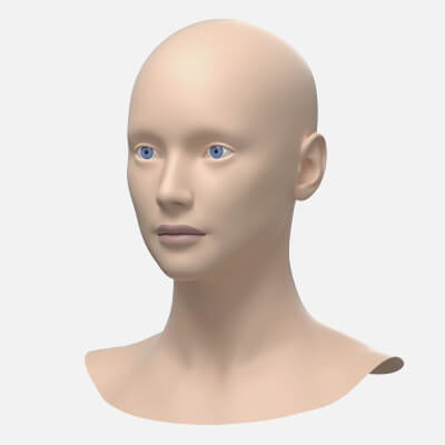 Stylized Female 01 Head Base Mesh - 3D Model by Valerii-Kaliuzhnyi