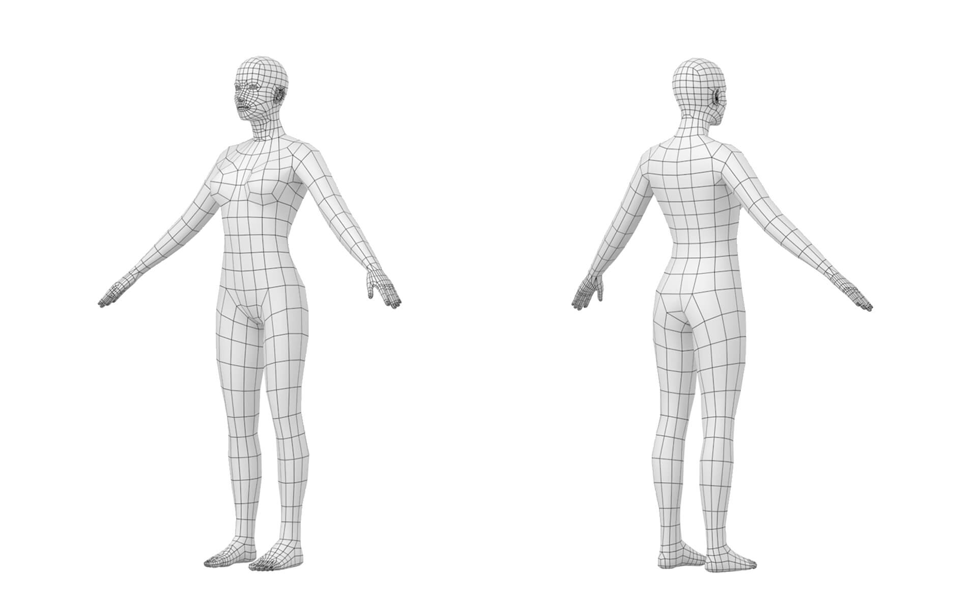 Natural Female in 3 Modeling Poses Base Mesh - 3D Model by Valerii ...