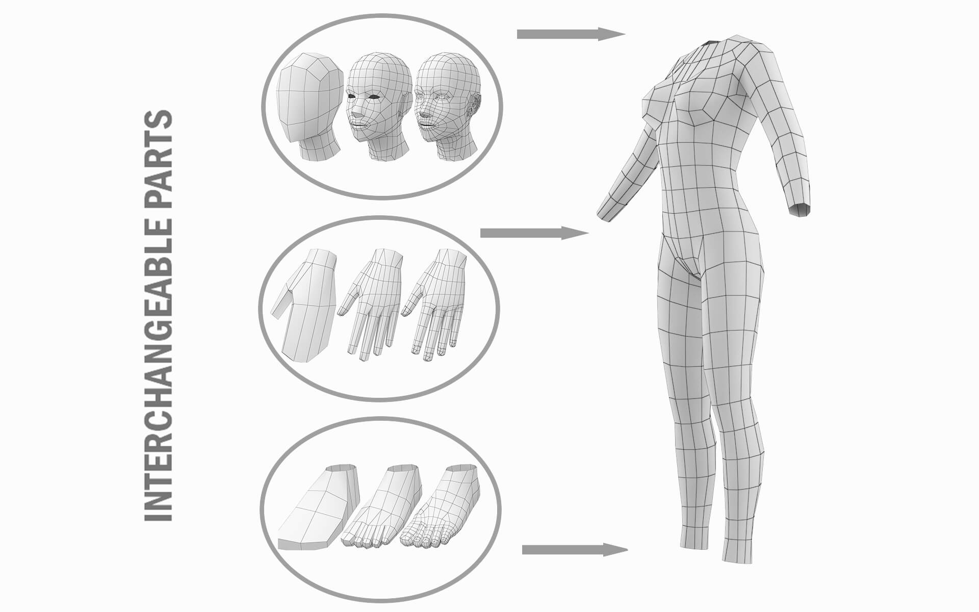 Natural Female in A-Pose Base Mesh 3D Model by Valerii-Kaliuzhnyi