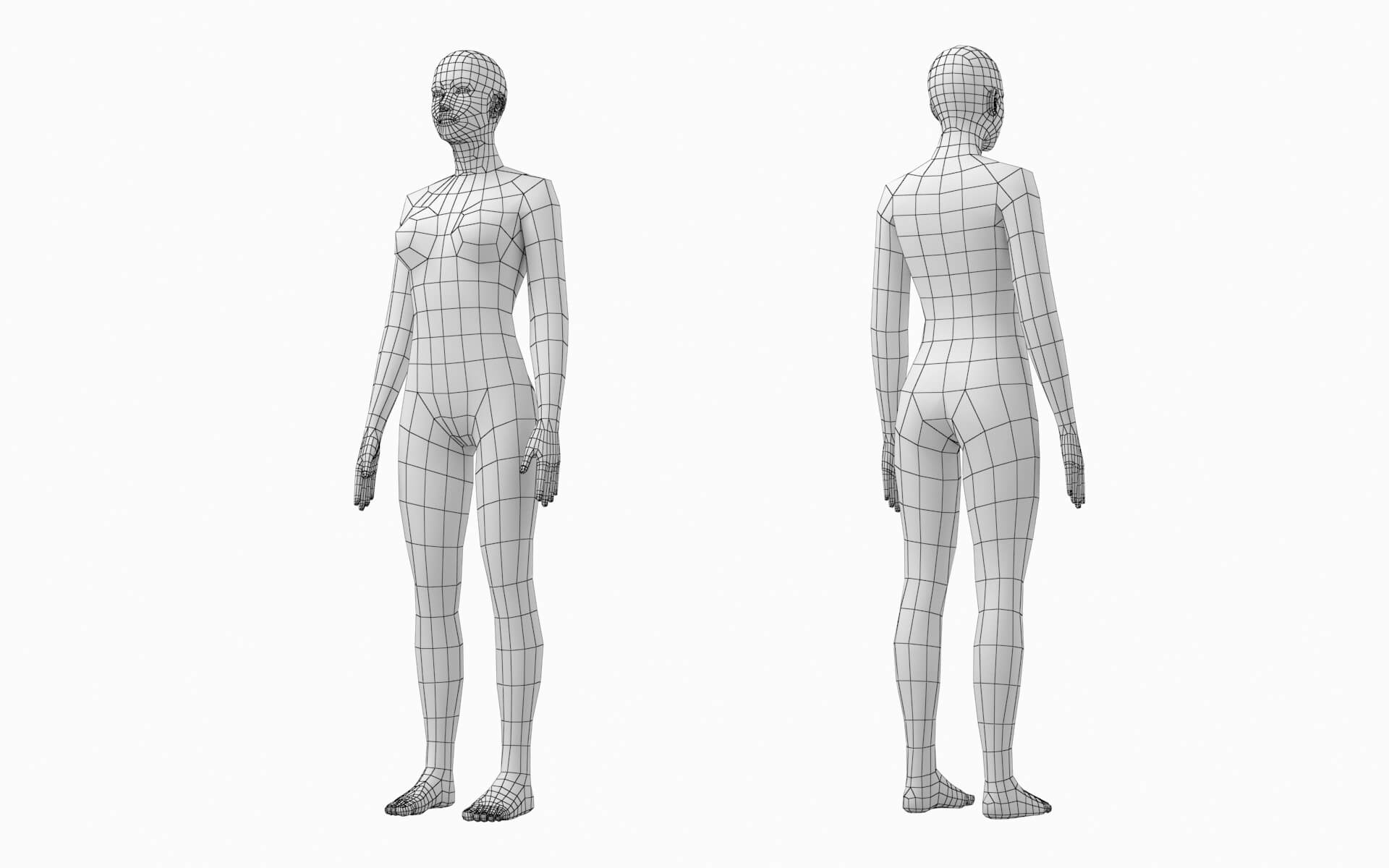 Natural Female in Rest Pose Base Mesh - 3D Model by Valerii-Kaliuzhnyi