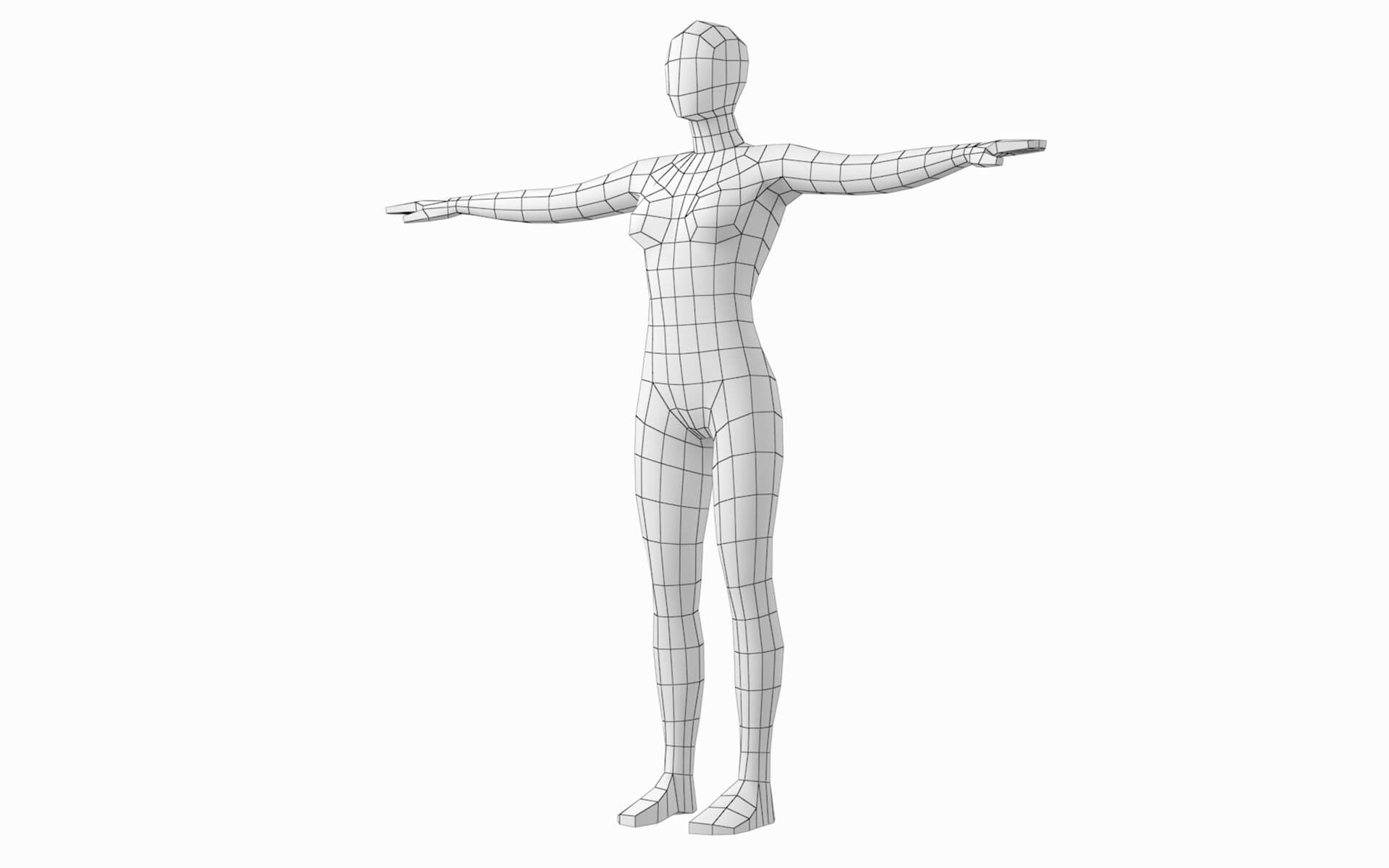 Natural Female in T-Pose Base Mesh 3D Model by Valerii-Kaliuzhnyi