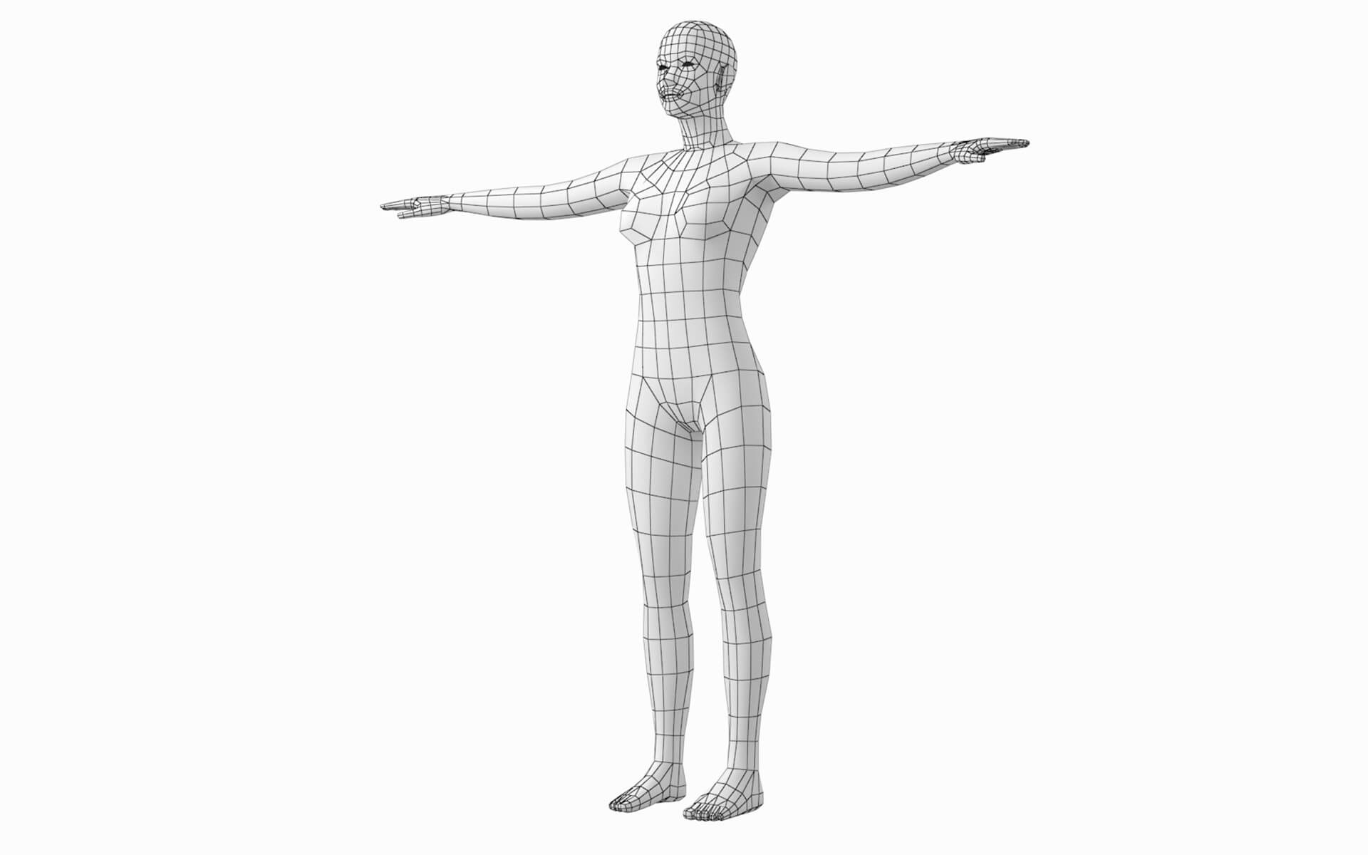 Natural Female in T-Pose Base Mesh 3D Model by Valerii-Kaliuzhnyi