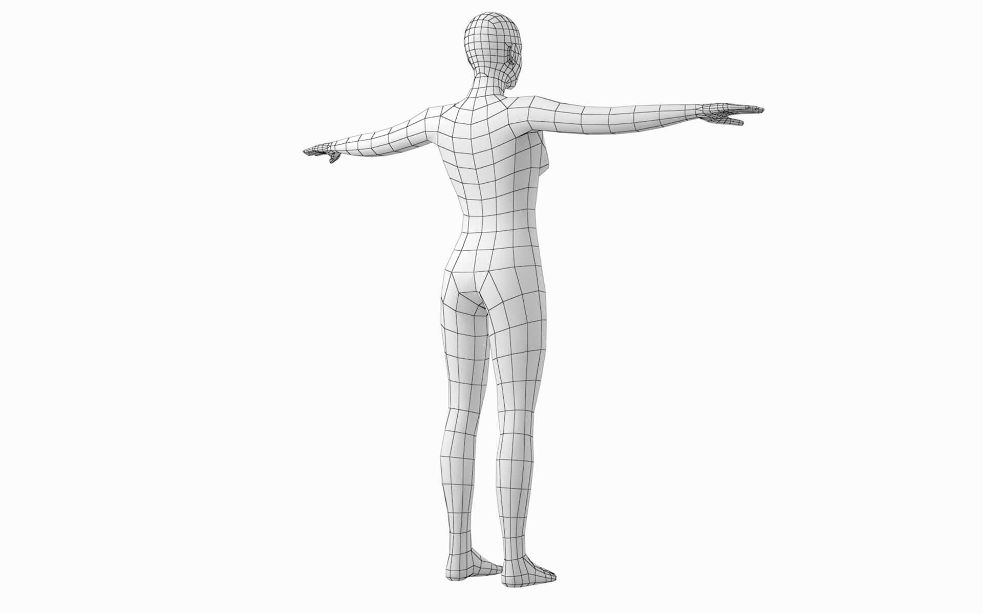 Natural Female in T-Pose Base Mesh 3D Model by Valerii-Kaliuzhnyi