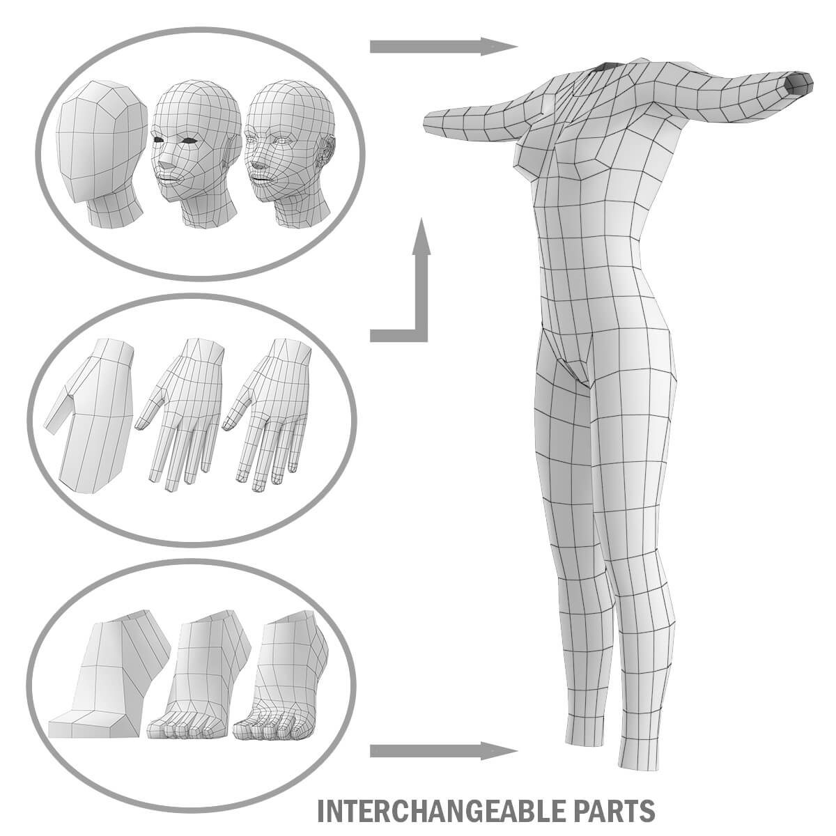 Natural Female on Toes in T-Pose Base Mesh 3D Model by Valerii-Kaliuzhnyi