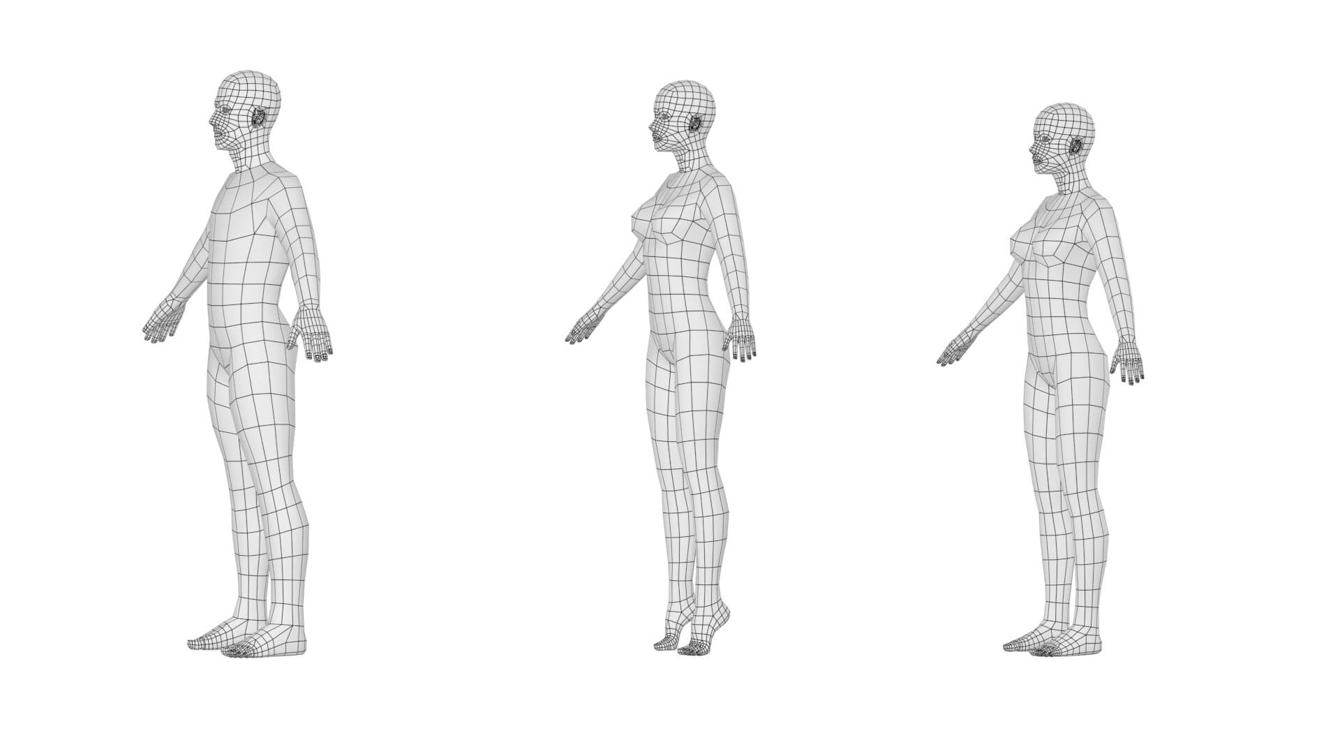 Natural Male and Female in A-Pose Base Mesh 3D Model by Valerii-Kaliuzhnyi