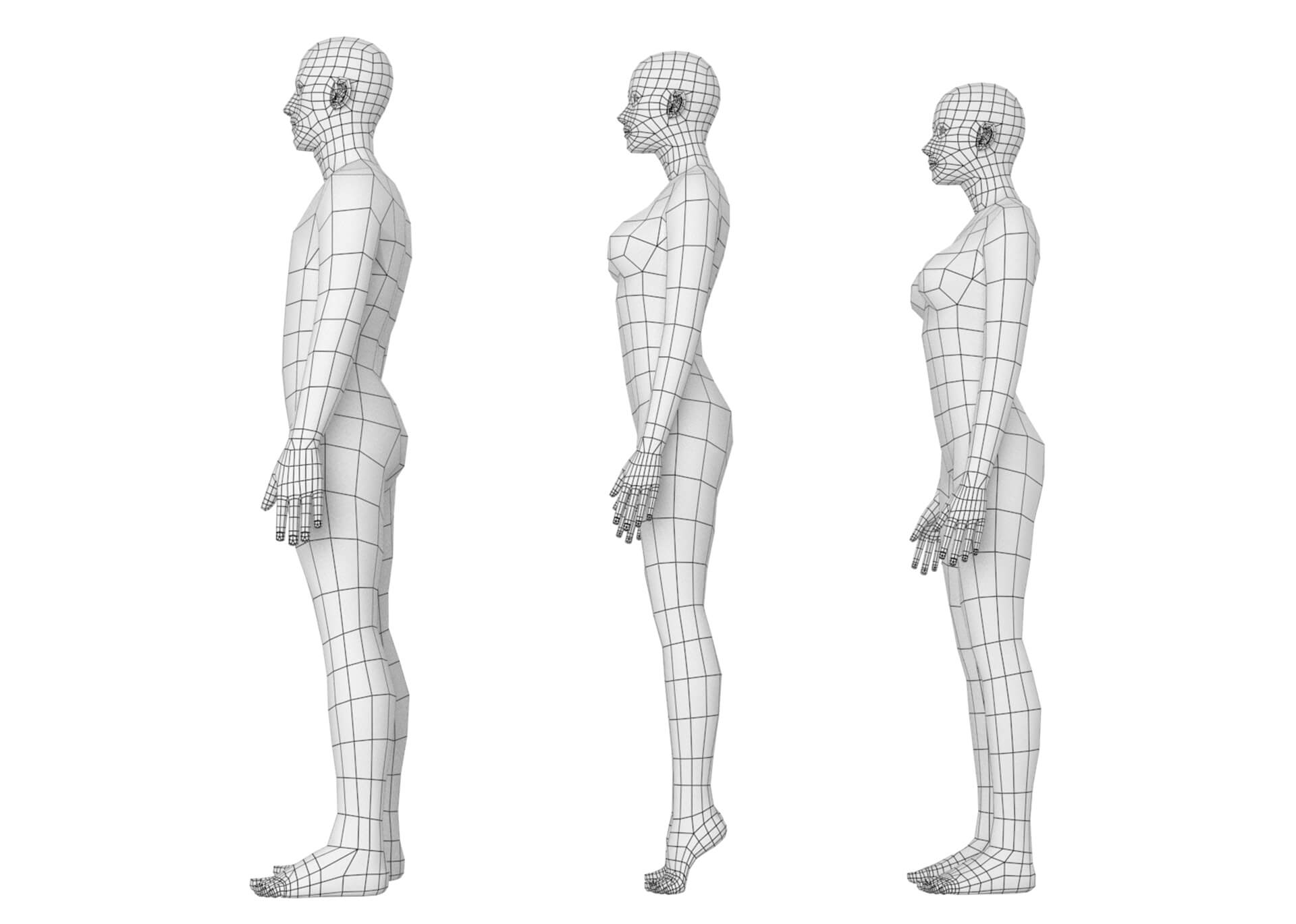 Natural Male and Female in Rest Pose Base Mesh - 3D Model by Valerii ...