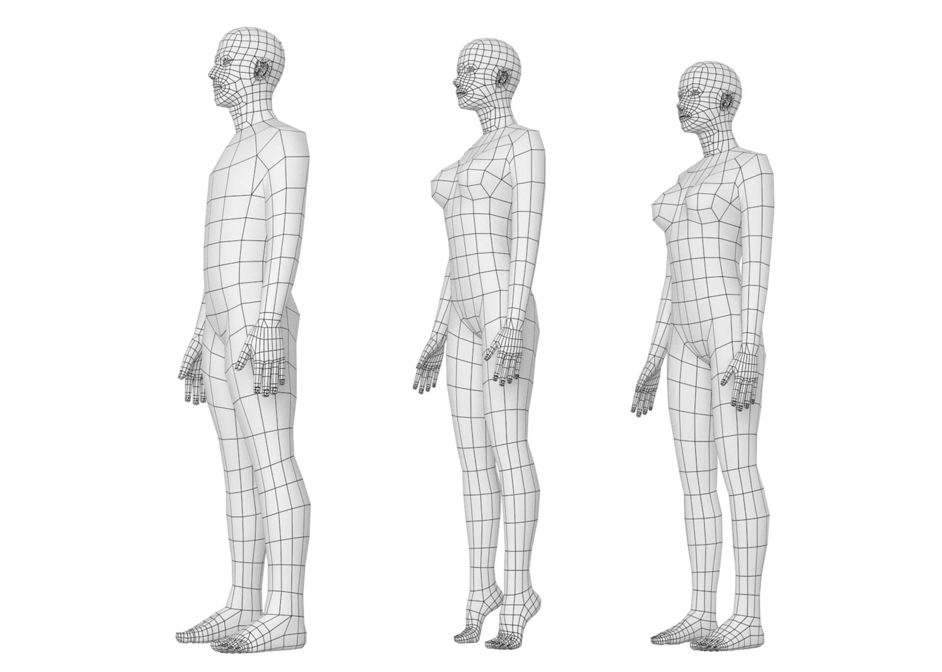 Natural Male and Female in Rest Pose Base Mesh - 3D Model by Valerii ...