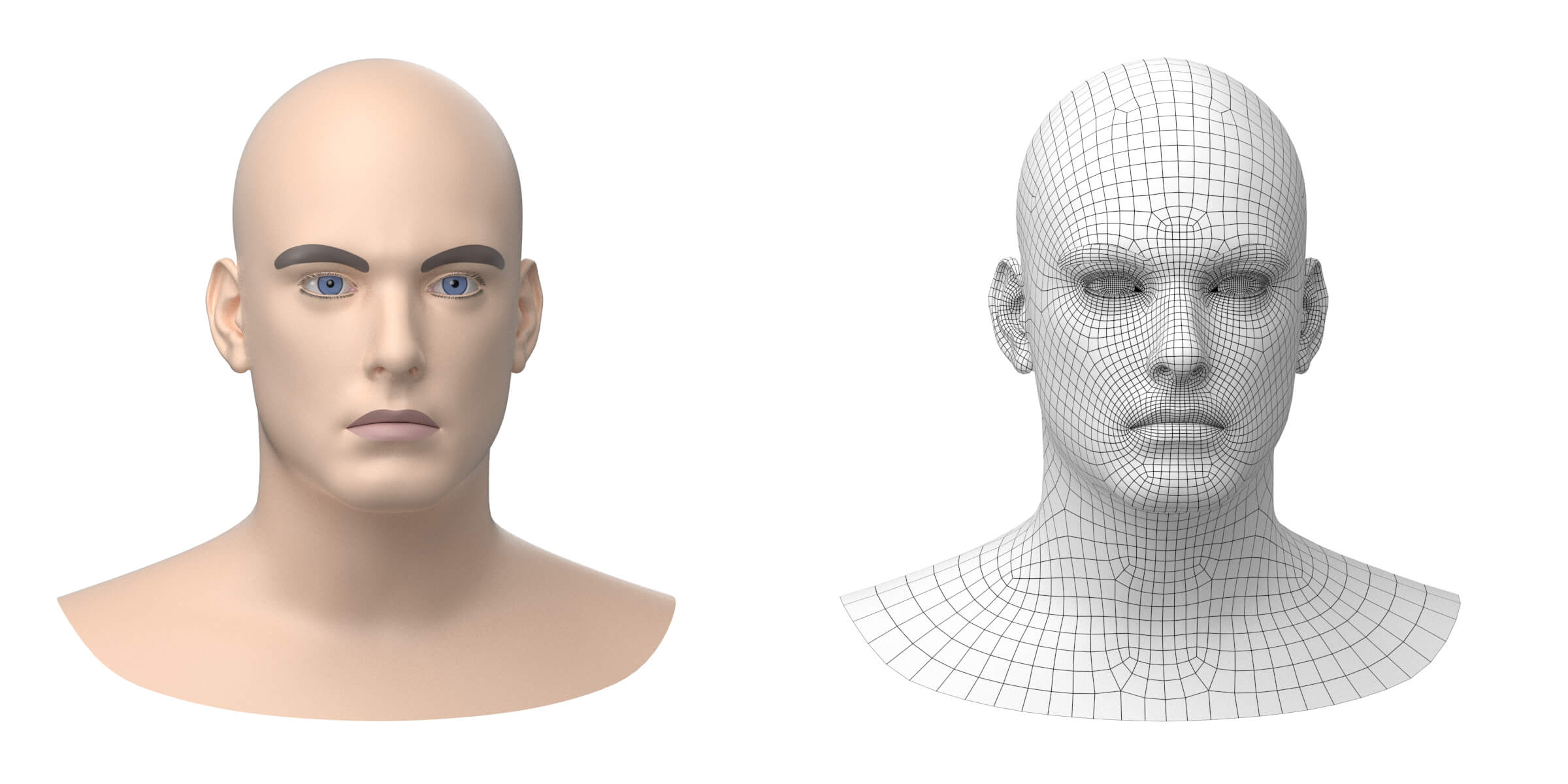 Natural Male Head 01 Base Mesh - 3D Model by Valerii-Kaliuzhnyi