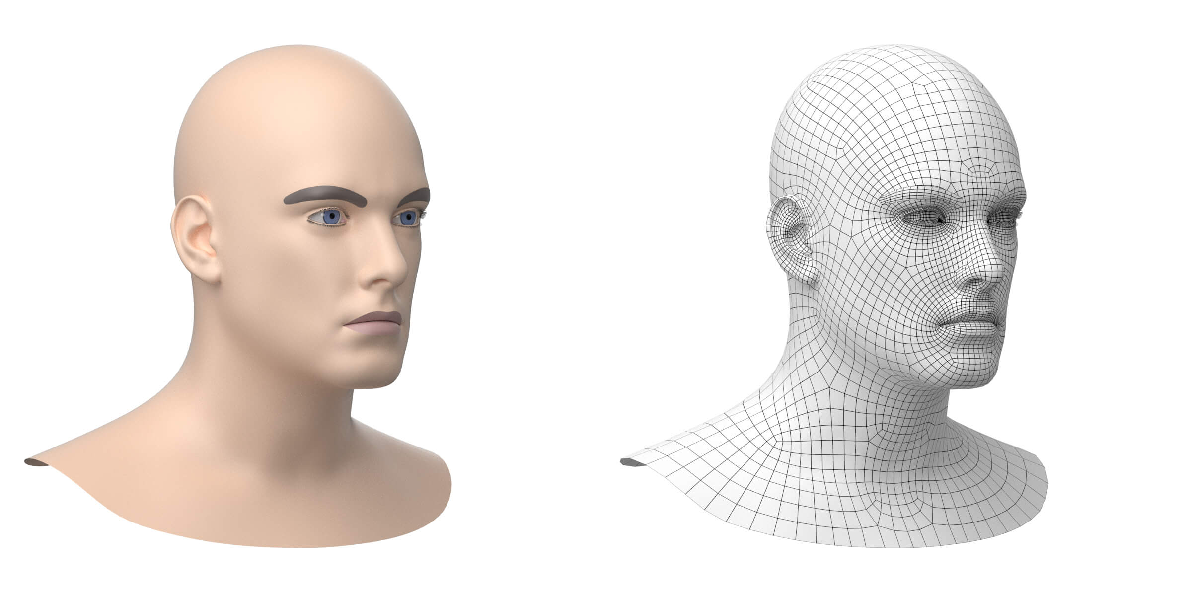 Natural Male Head 01 Base Mesh - 3D Model by Valerii-Kaliuzhnyi