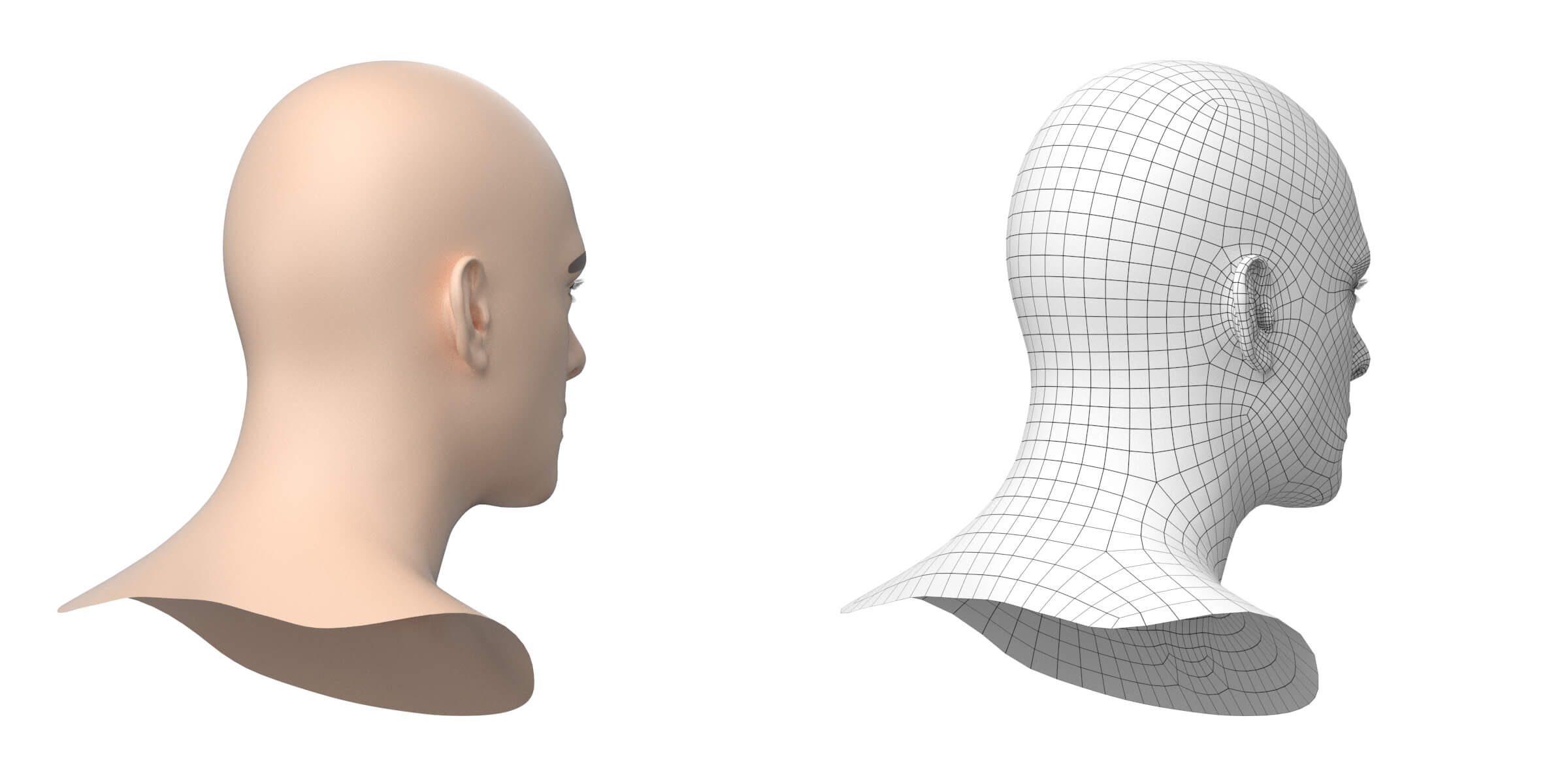 Natural Male Head 01 Base Mesh - 3D Model by Valerii-Kaliuzhnyi