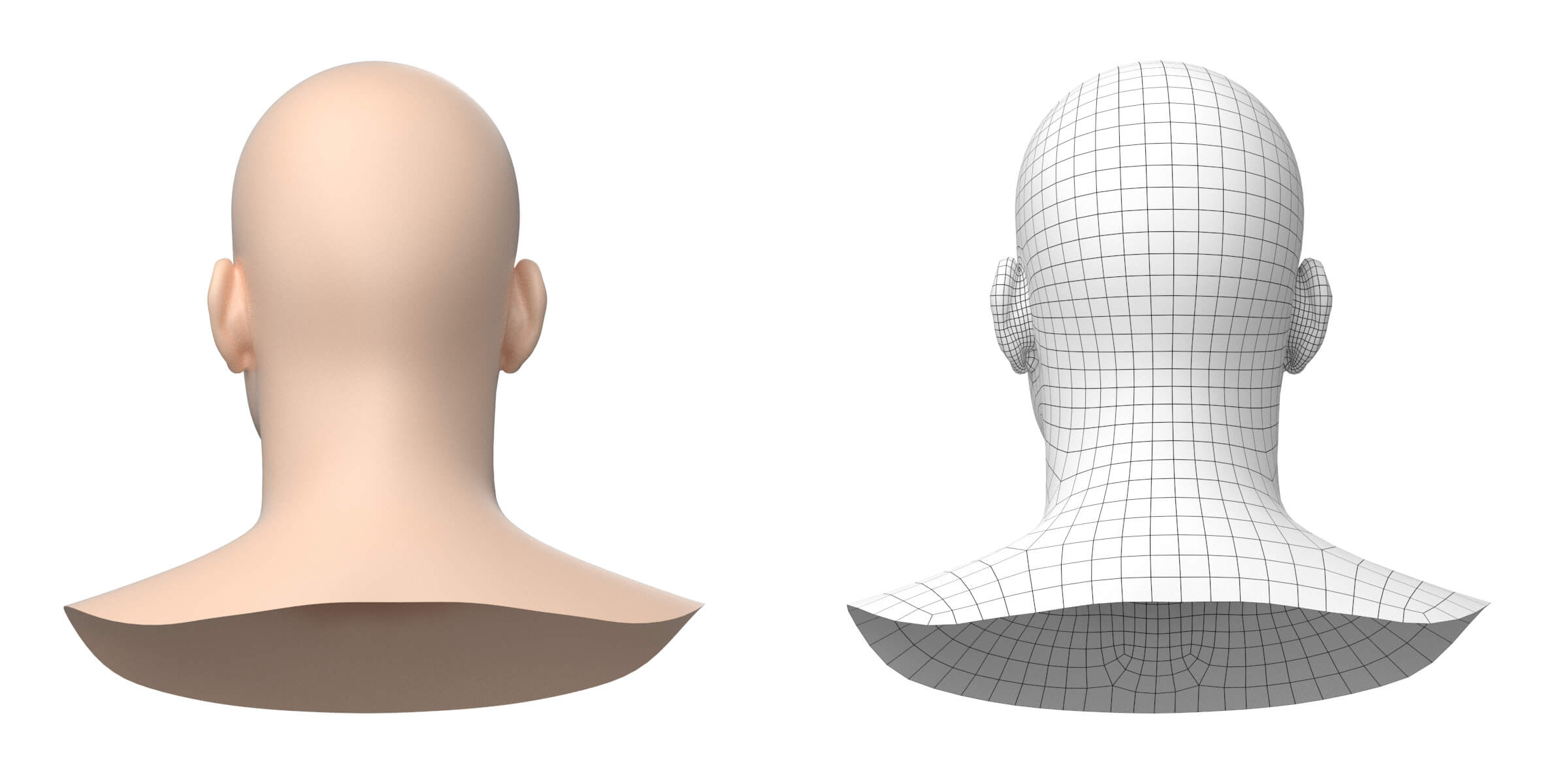 Natural Male Head 01 Base Mesh - 3D Model by Valerii-Kaliuzhnyi