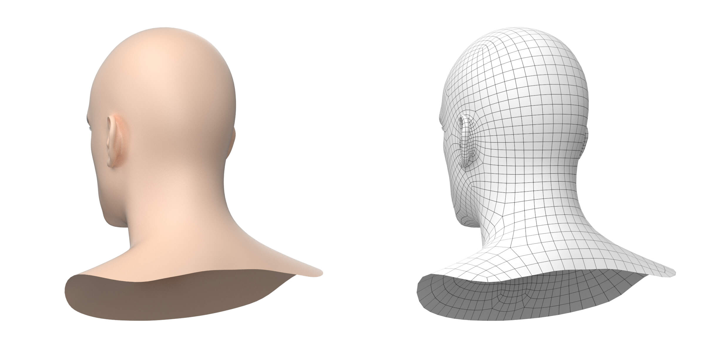 Natural Male Head 01 Base Mesh - 3D Model by Valerii-Kaliuzhnyi