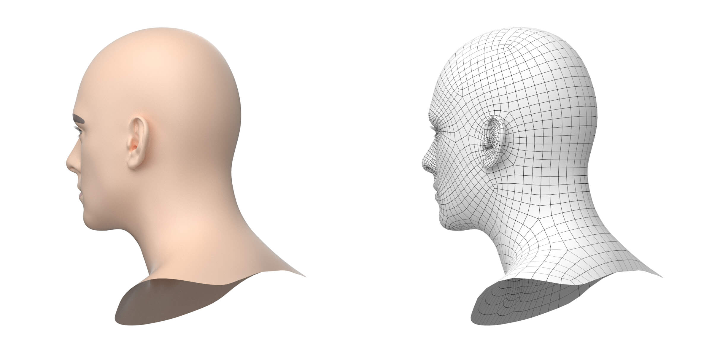 Natural Male Head 01 Base Mesh - 3D Model by Valerii-Kaliuzhnyi