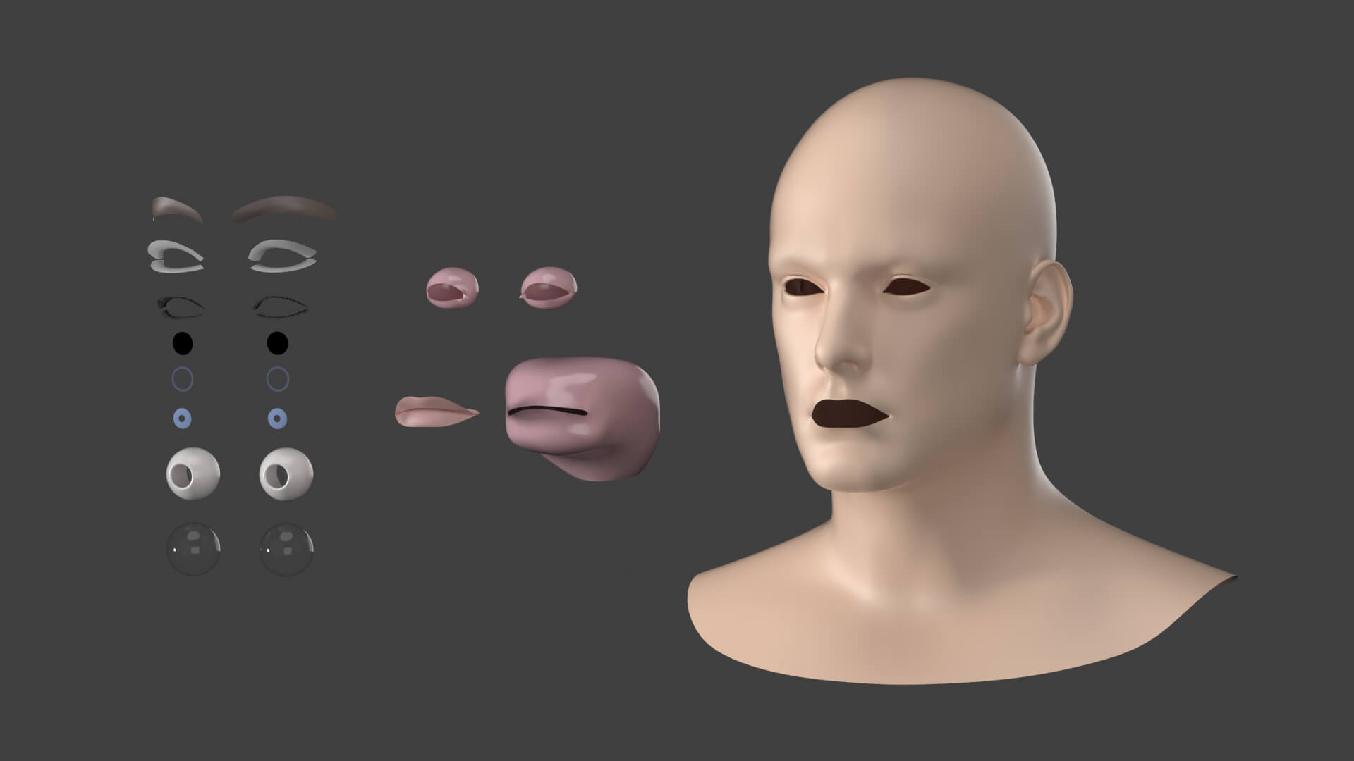 Natural Male Head 01 Base Mesh - 3D Model by Valerii-Kaliuzhnyi