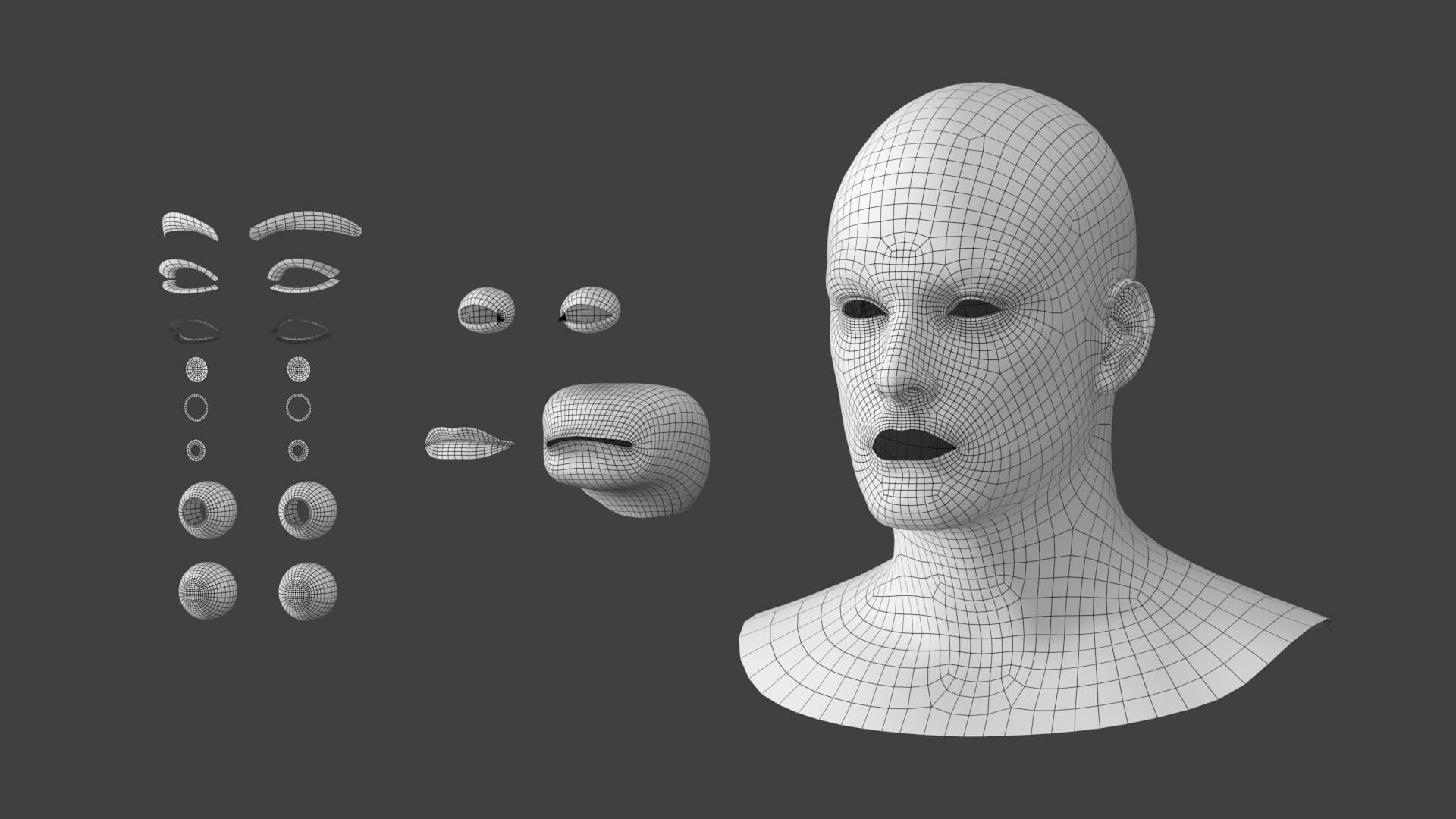 Natural Male Head 01 Base Mesh - 3D Model by Valerii-Kaliuzhnyi