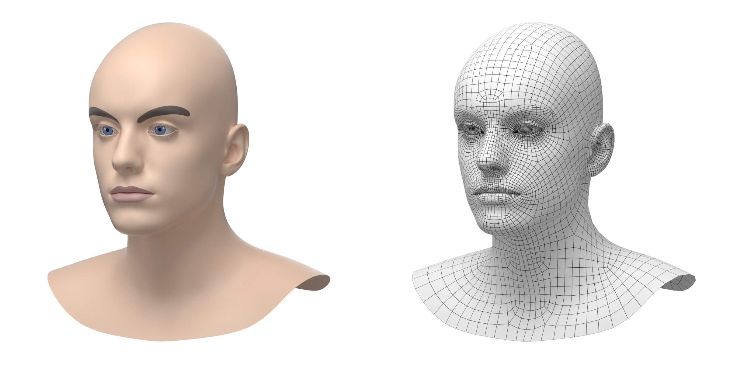 Natural Male Head 03 Base Mesh - 3D Model by Valerii-Kaliuzhnyi