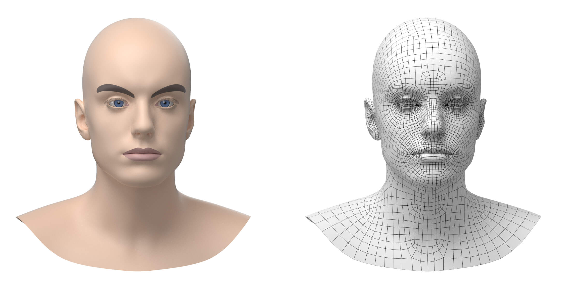 Natural Male Head 03 Base Mesh - 3D Model by Valerii-Kaliuzhnyi