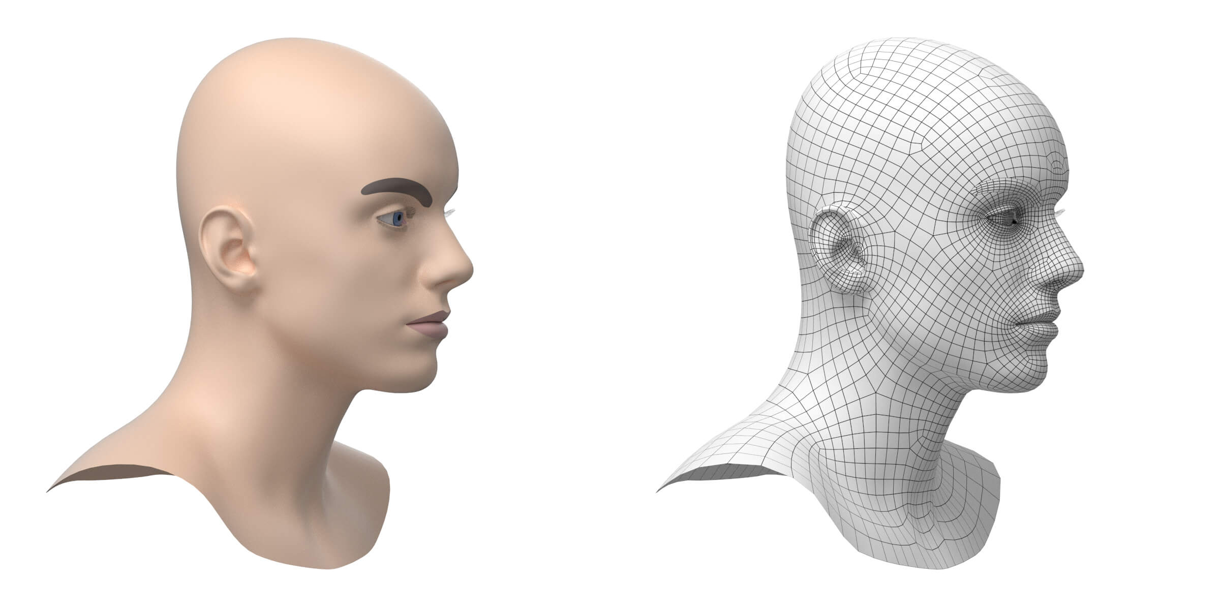 Natural Male Head 03 Base Mesh - 3D Model by Valerii-Kaliuzhnyi