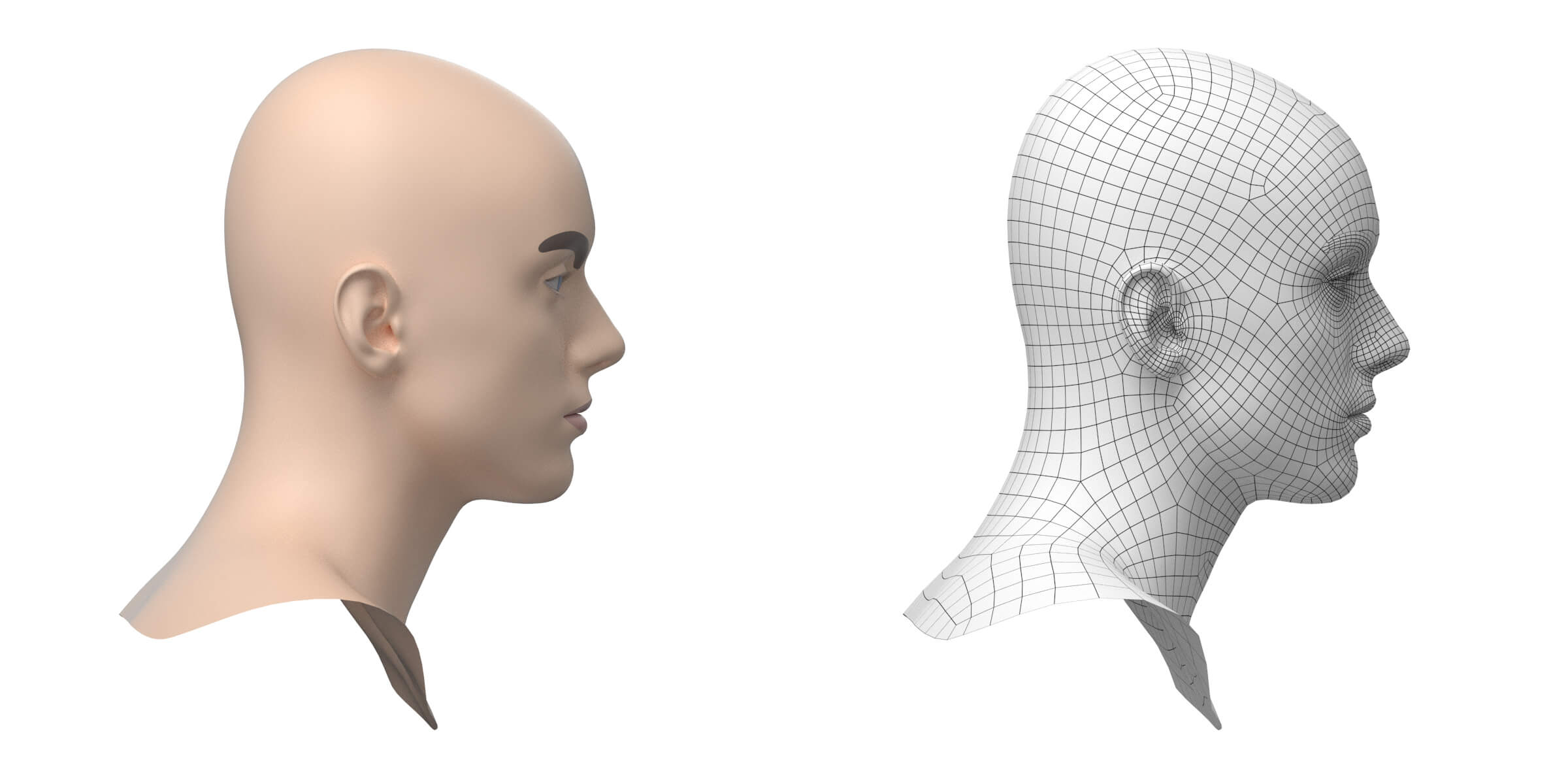 Natural Male Head 03 Base Mesh - 3D Model by Valerii-Kaliuzhnyi